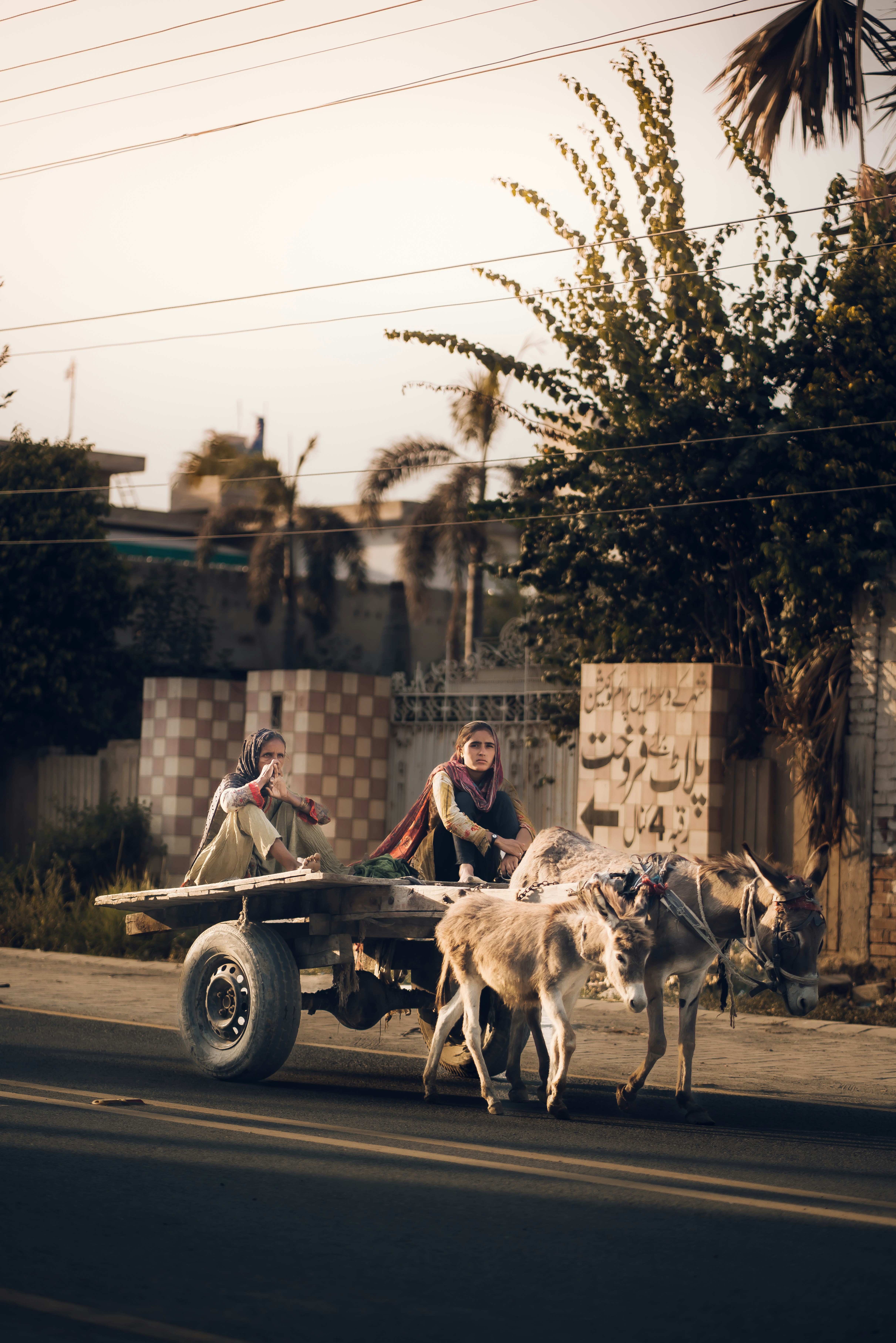 Dusty Road Portrait: Two Women and a Donkey-Drawn Cart in Golden Hour