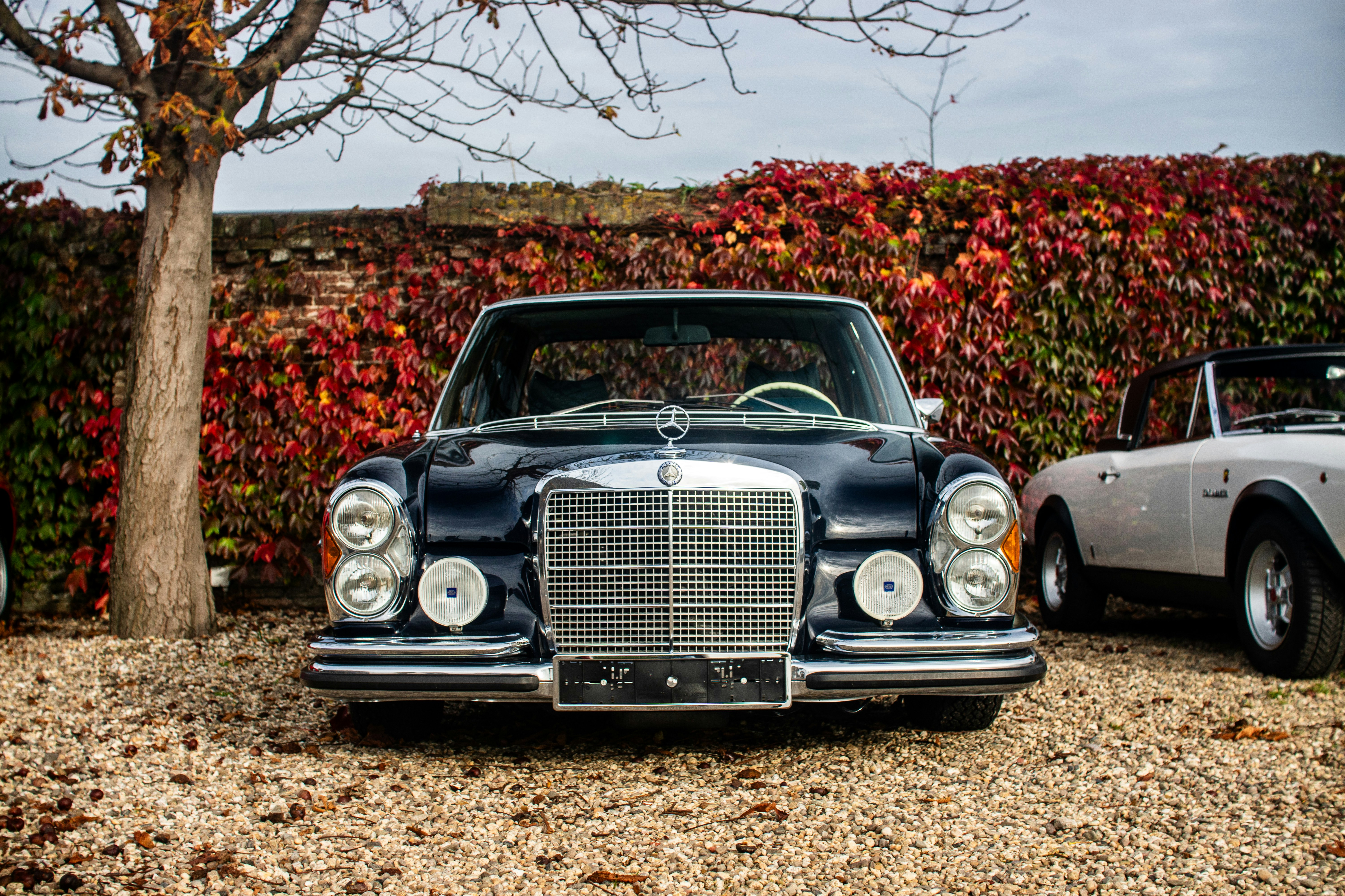 A couple of cars parked next to each other photo – Free Car Image on ...