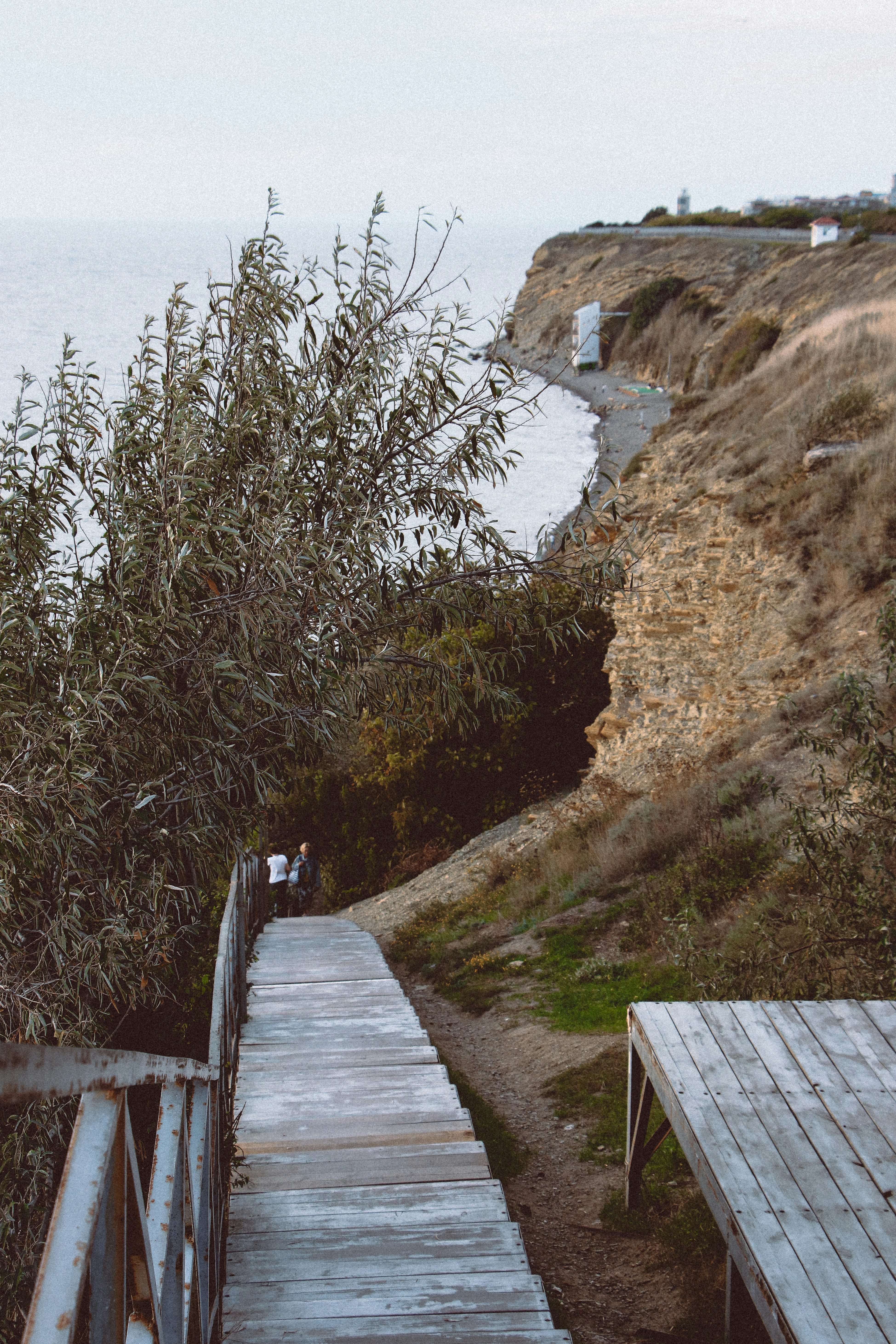 Staircase to the Sea: A Quiet Clifftop Descent Toward the Tide