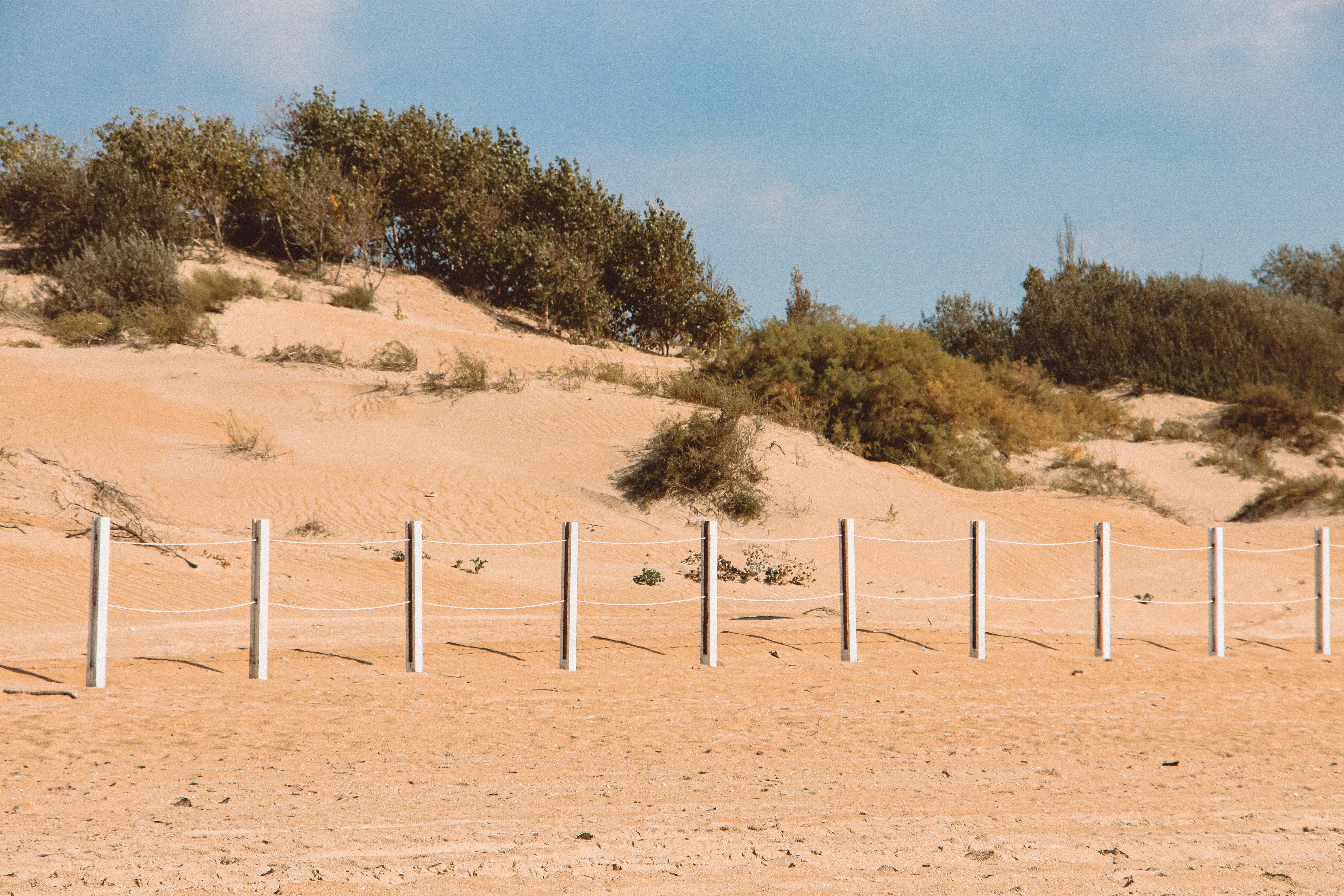Dust Lines Across Quiet Dunes: Fence Posts Mark the Desert's Geometry