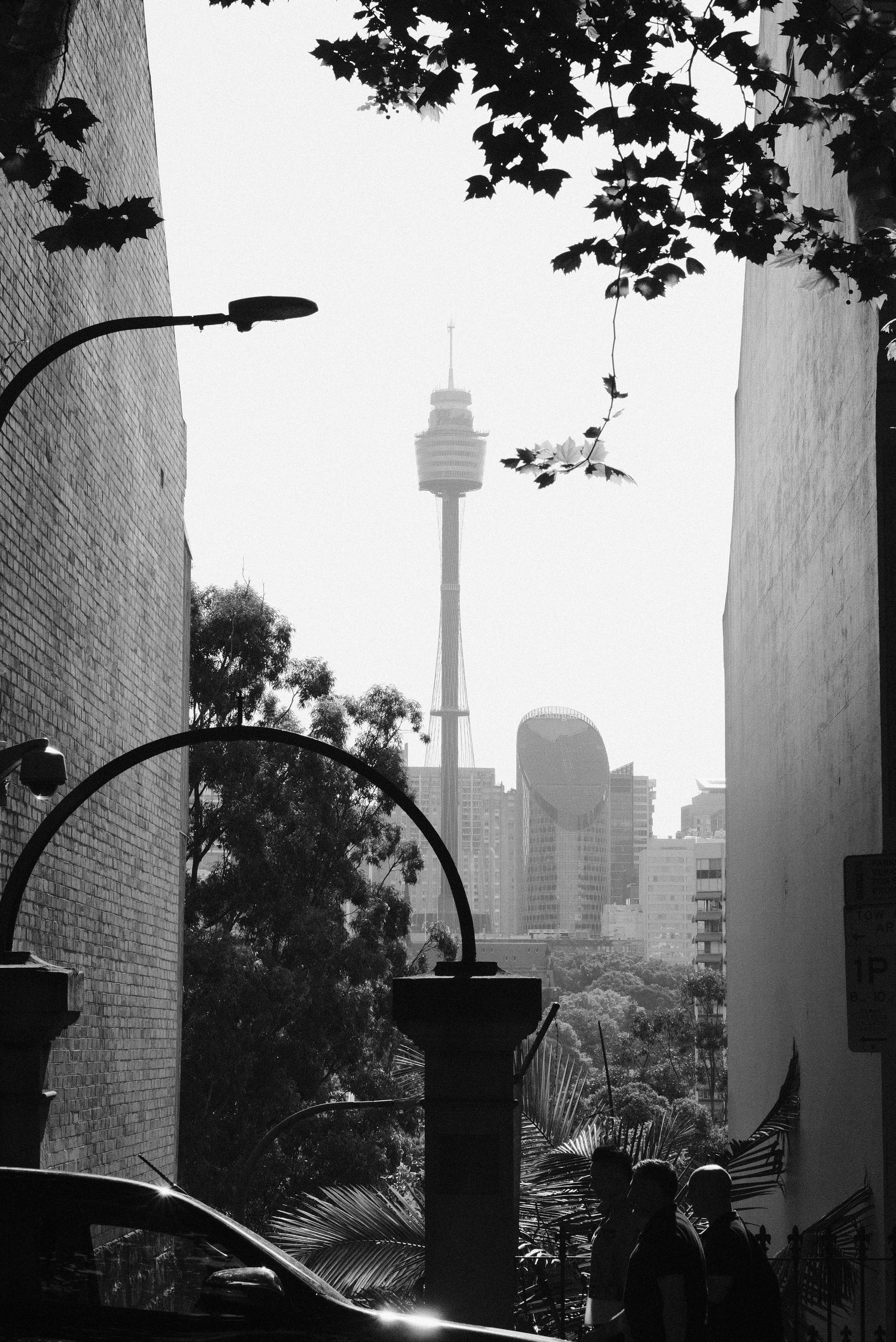 Photo by Dominic Kurniawan Suryaputra with Fujifilm X-T2