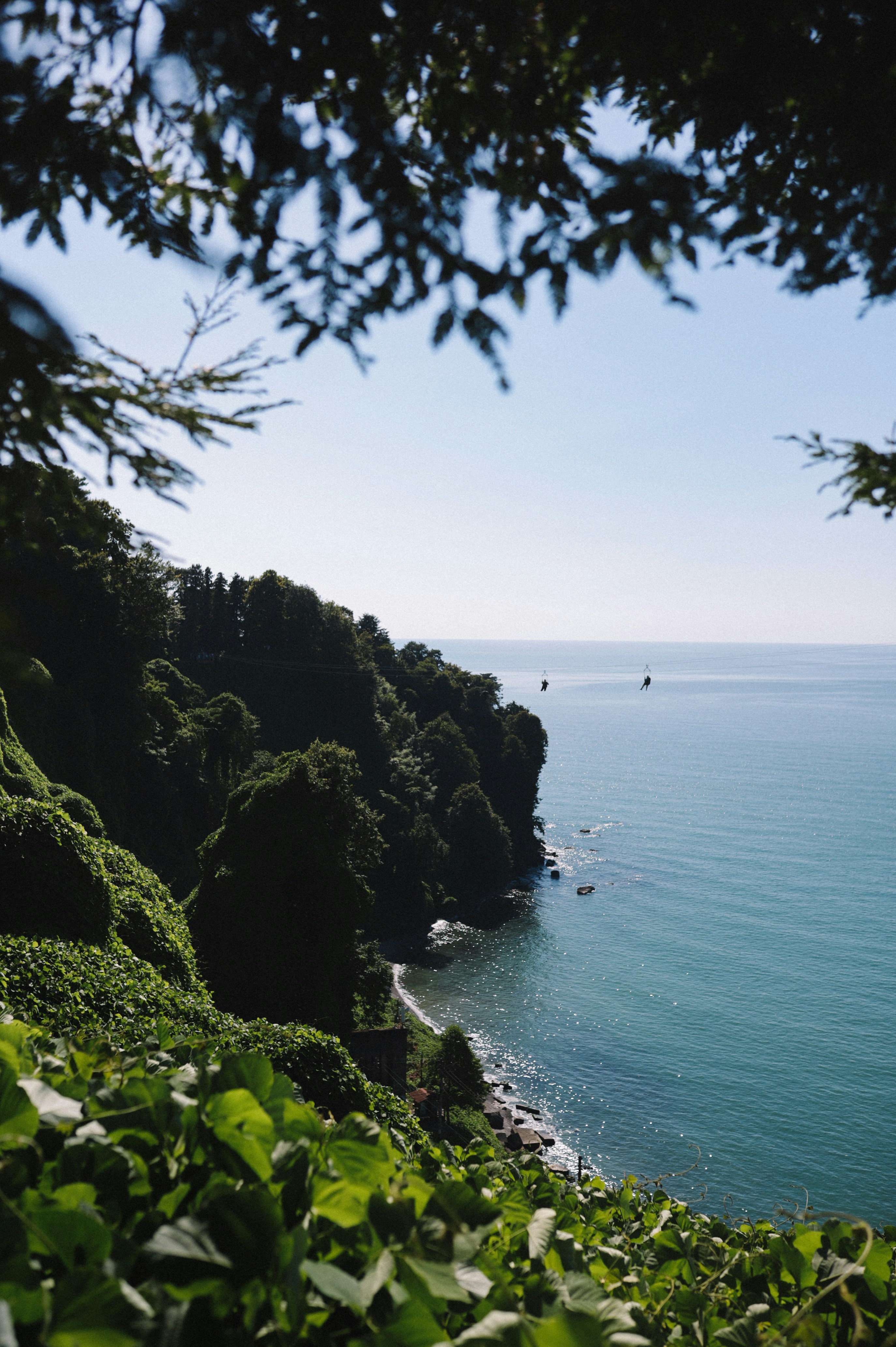 Verdant Verge Over the Azure Expanse
