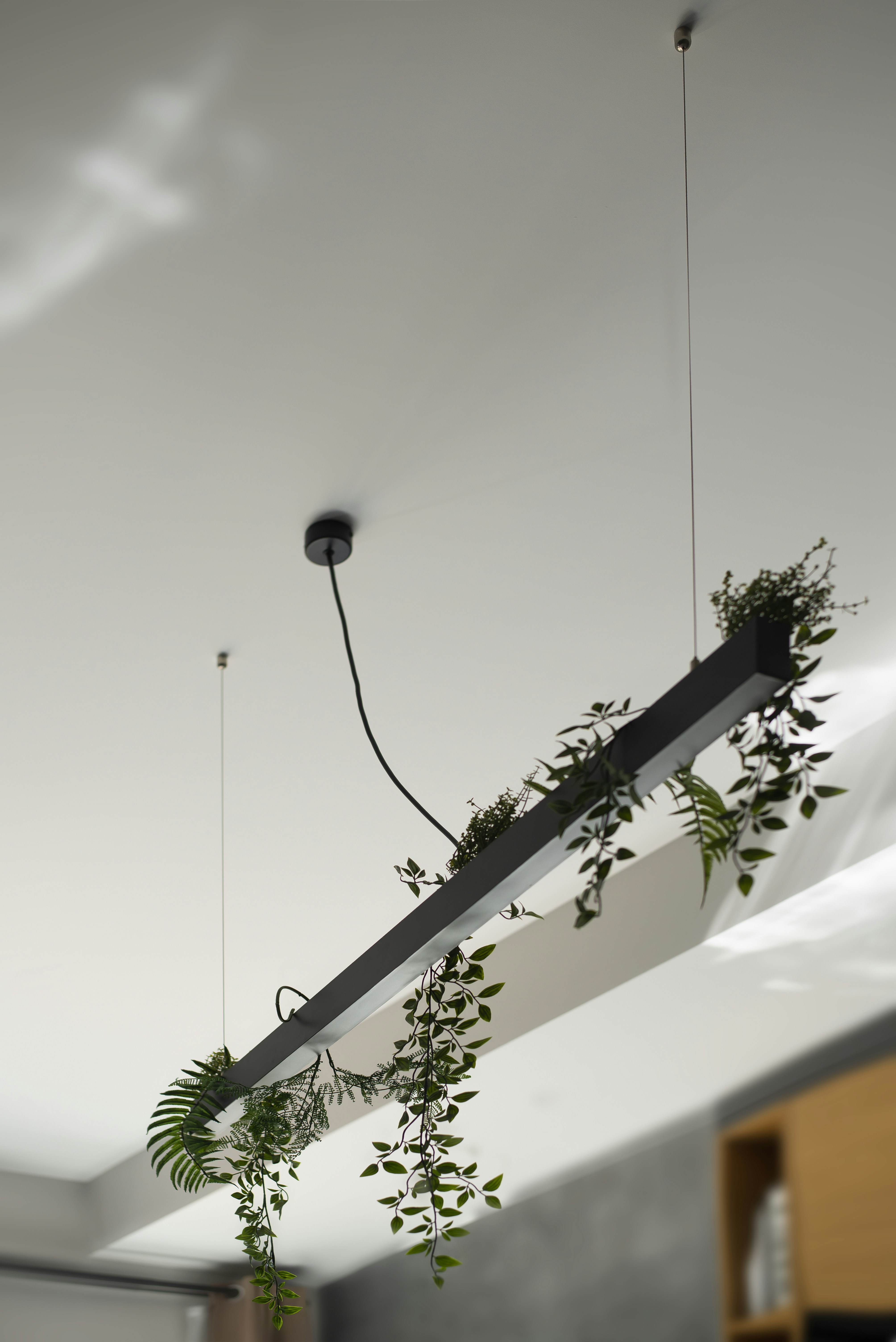 Floating Greenery: A Modern Touch to Minimalist Design