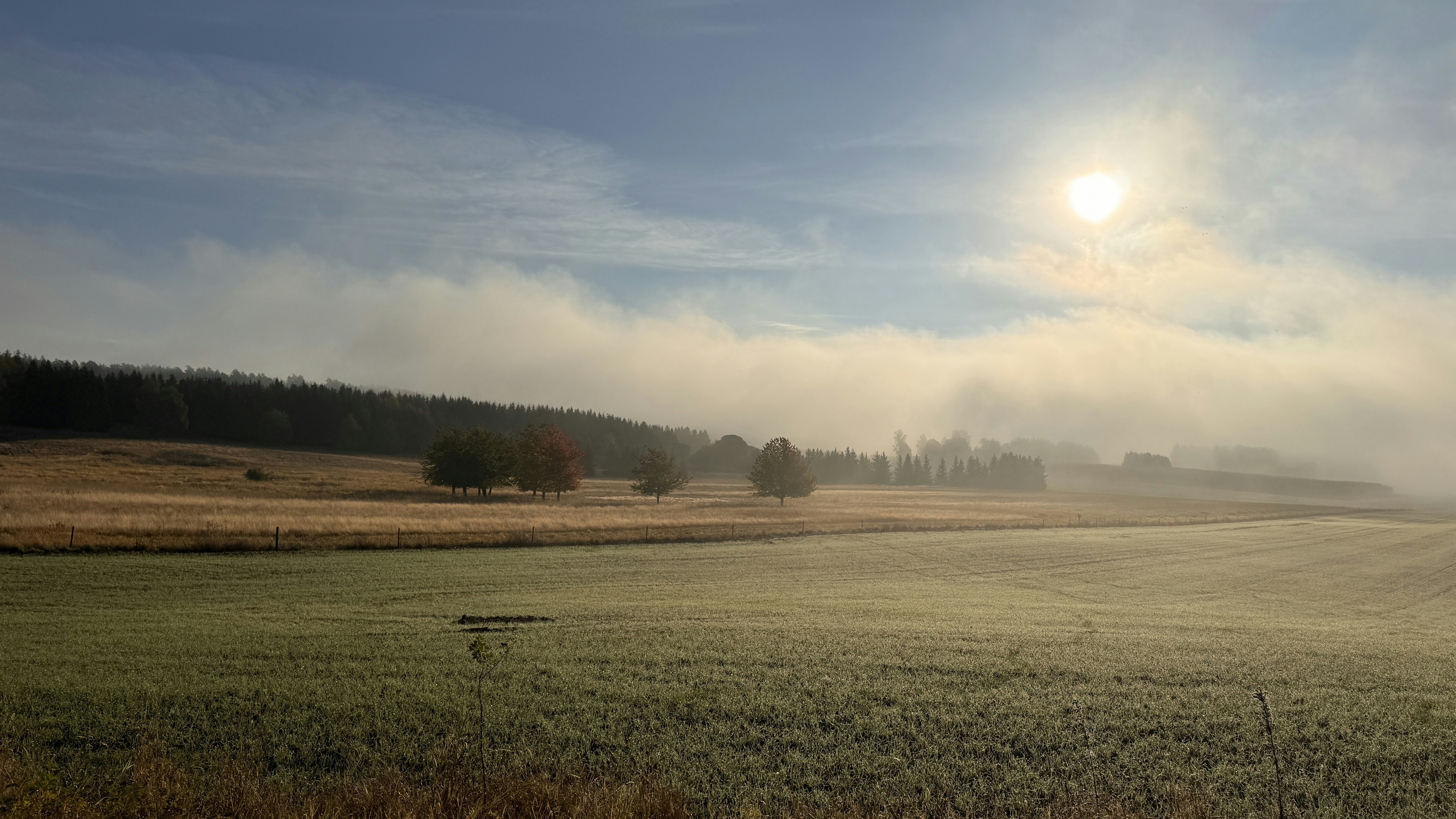 Winter Dawn across the Quiet Field