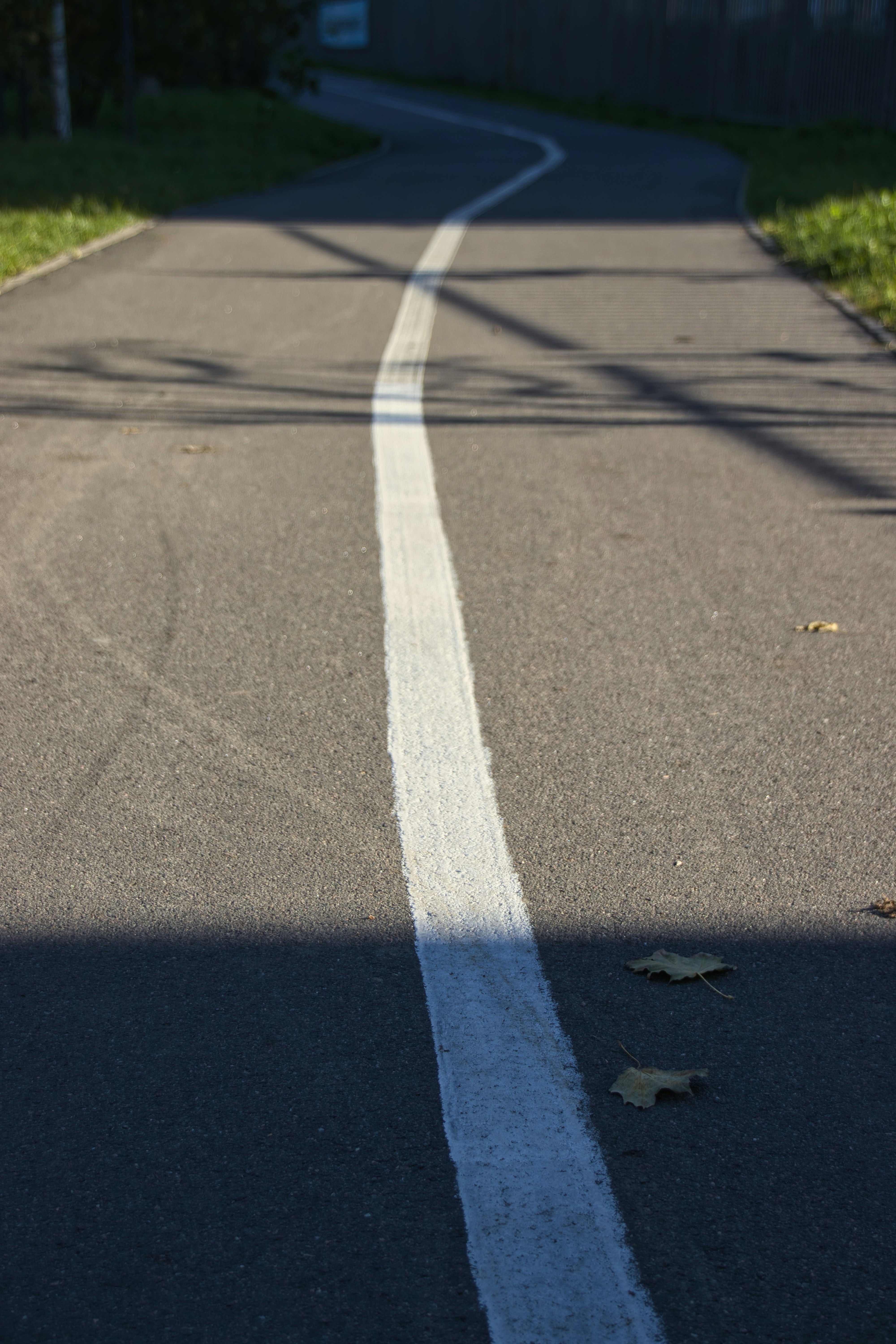 White Line Convergence: A Quiet Path Bends Toward Shade