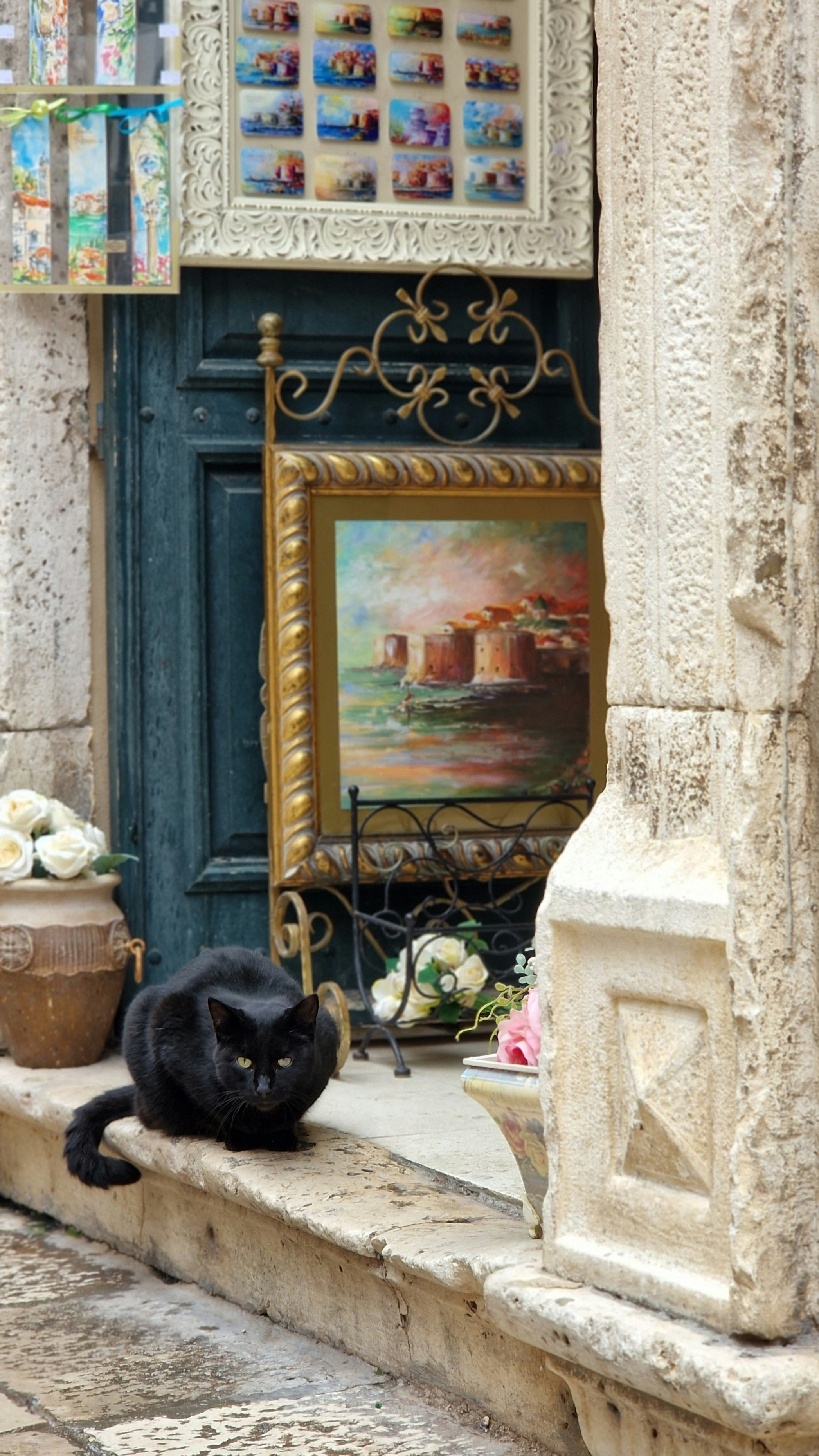 Noir on the Threshold: Black Cat at an Ornate Doorway Framed with Art