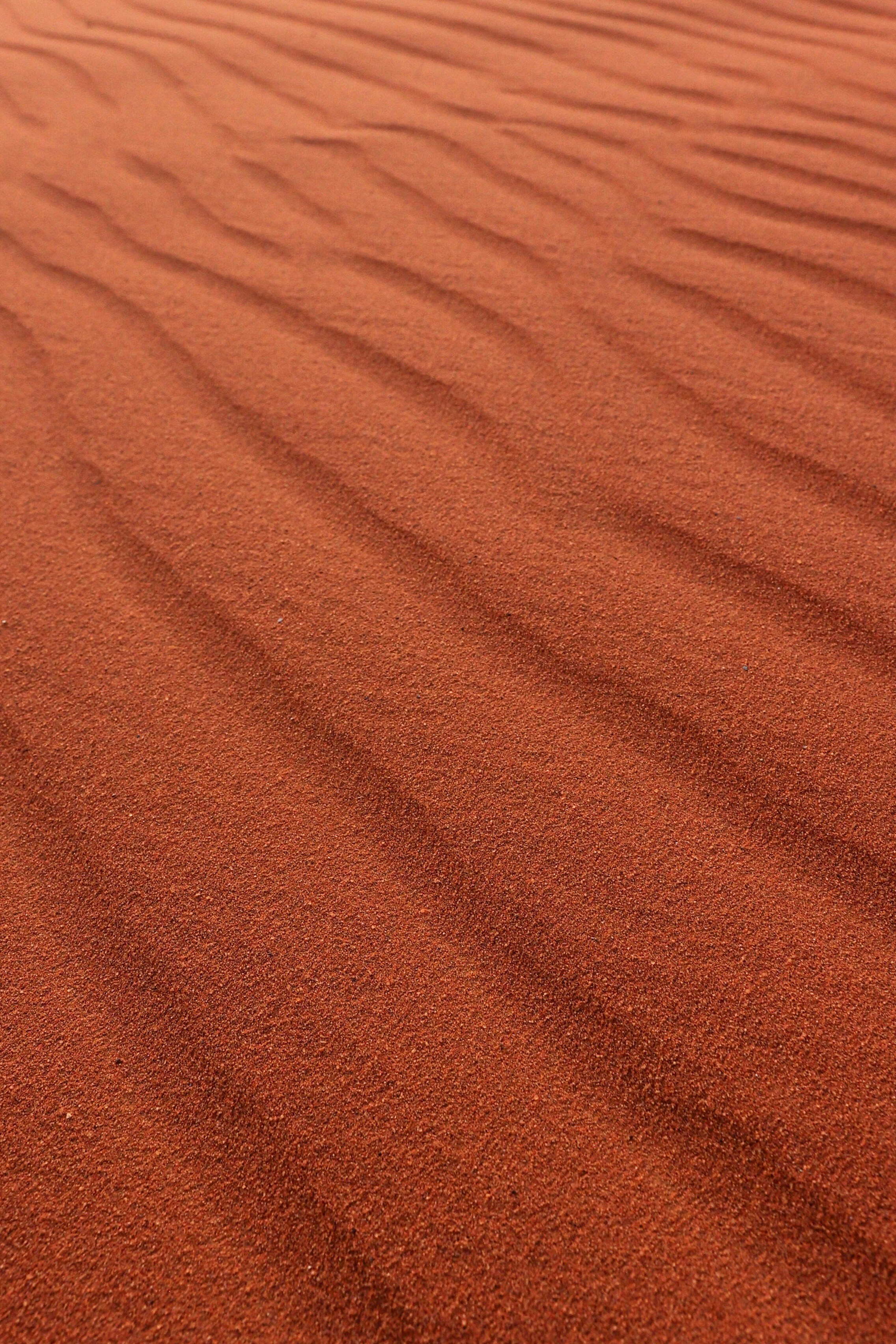 Una duna de arena roja en medio del desierto foto – Imagen de Textura ...