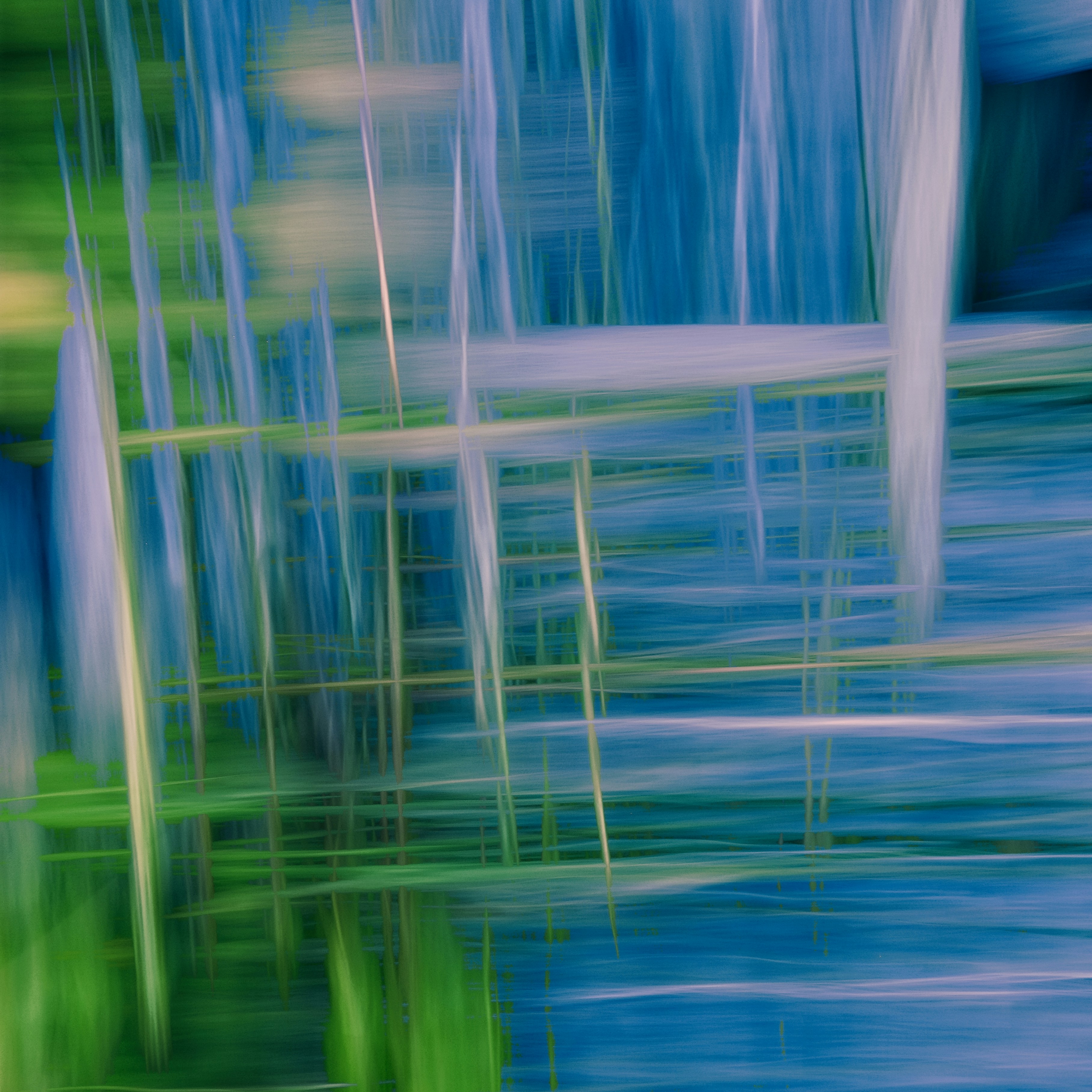 Photo by Robert Clark with Fujifilm X100V