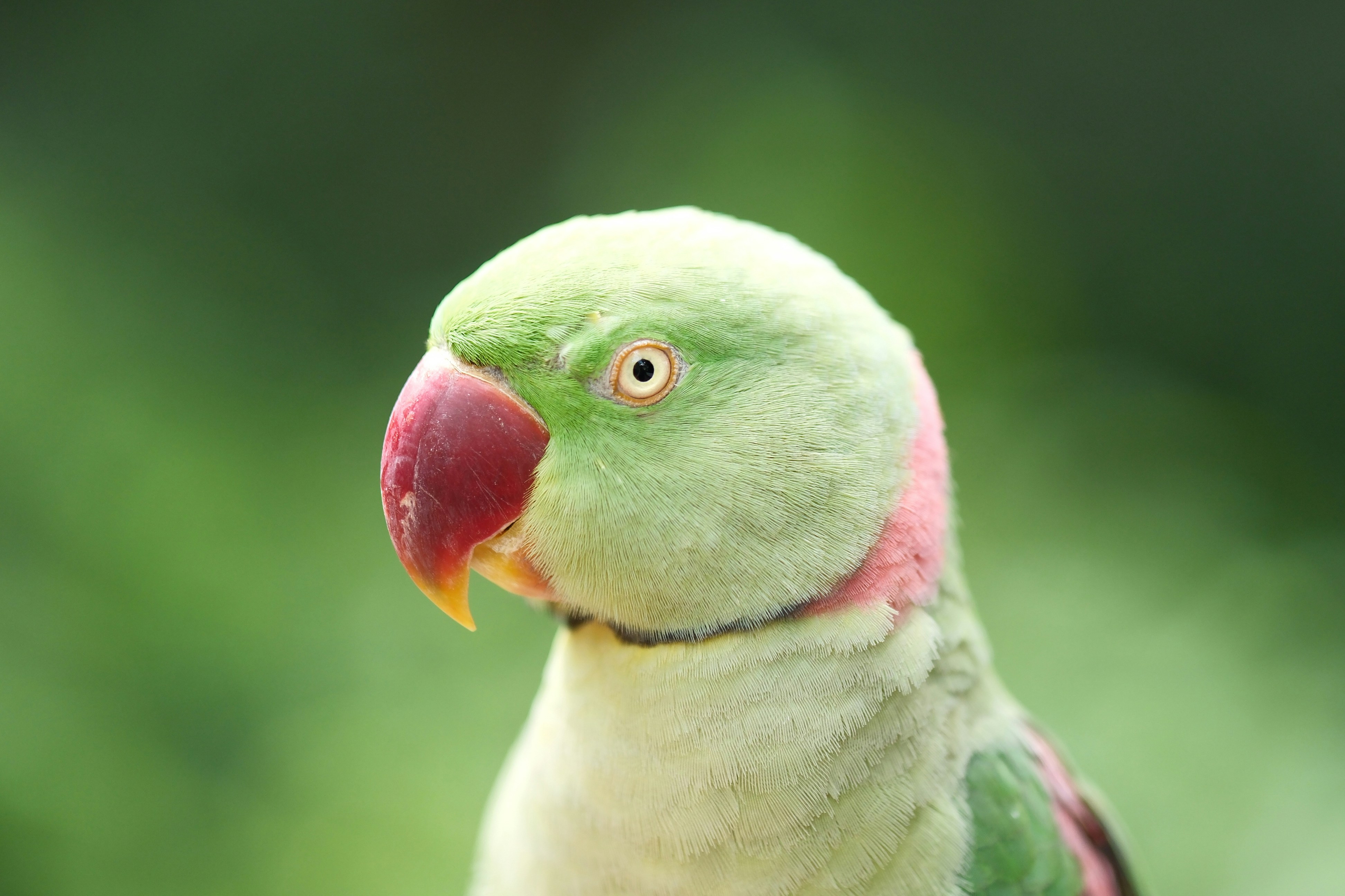 Photo by Simone Dinoia with Fujifilm X-T5