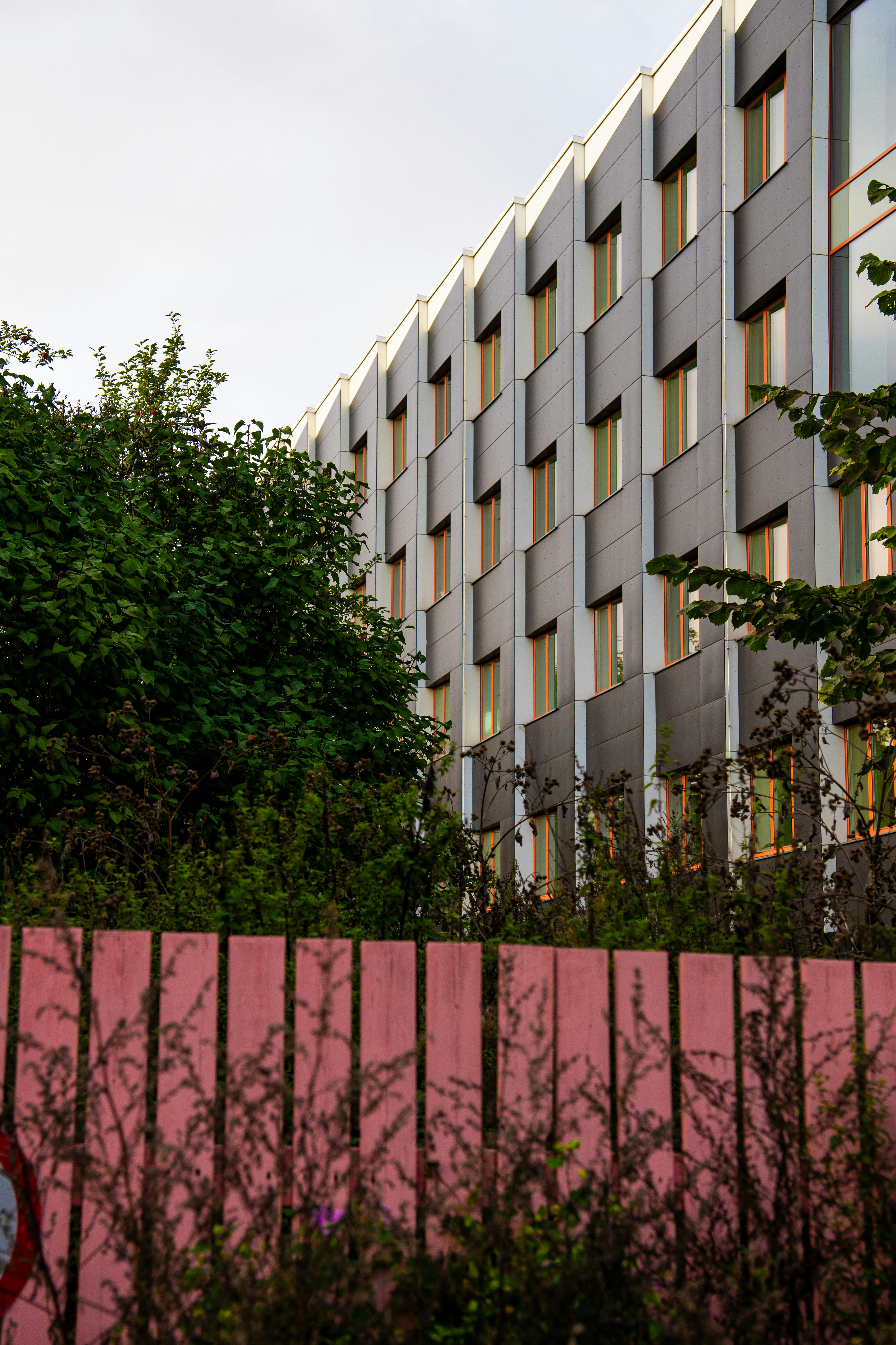 Gridline Quiet: A Modern Facade Framed by Greenery