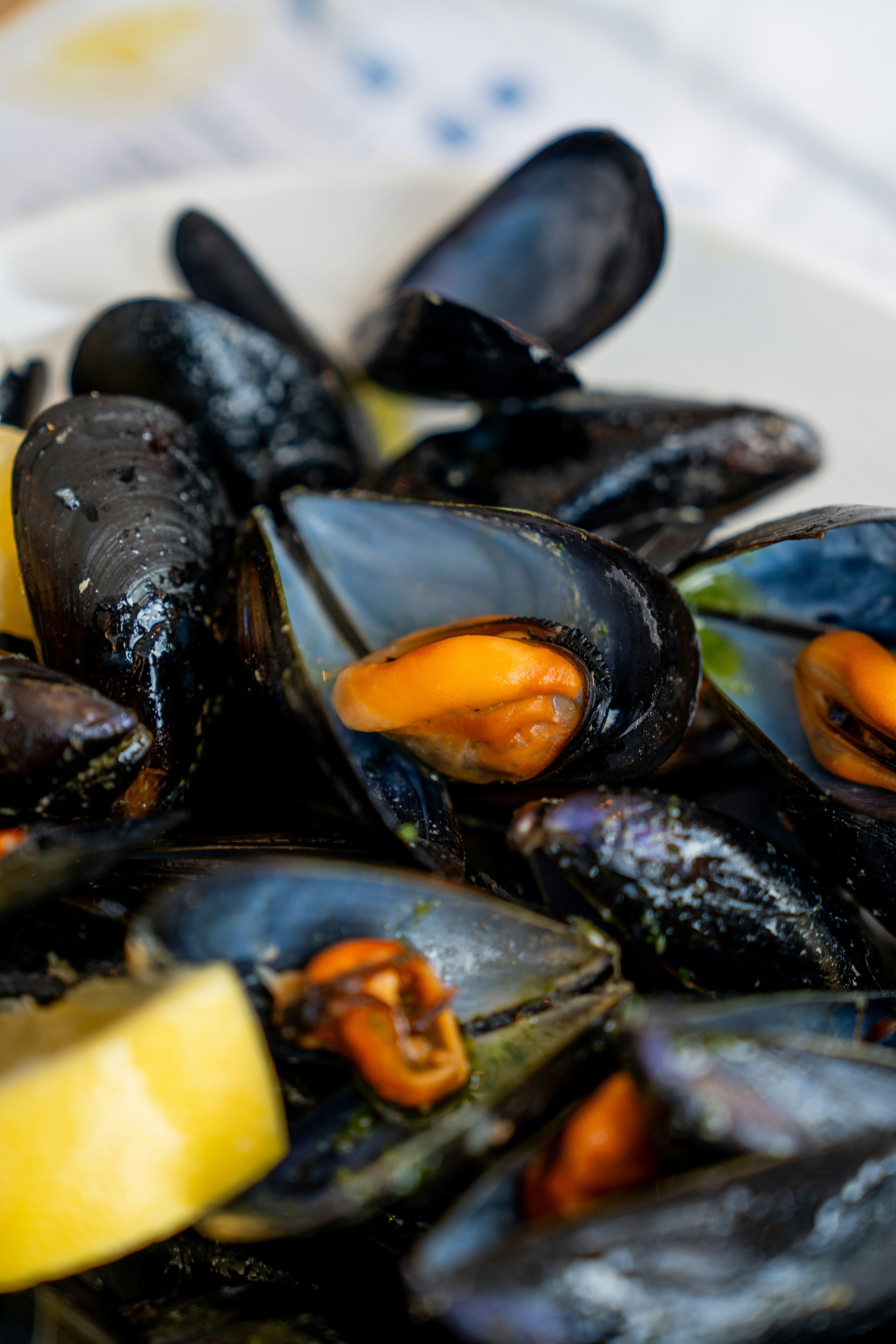 A plate of steamed mussels with lemon wedges photo – Free Food Image on ...