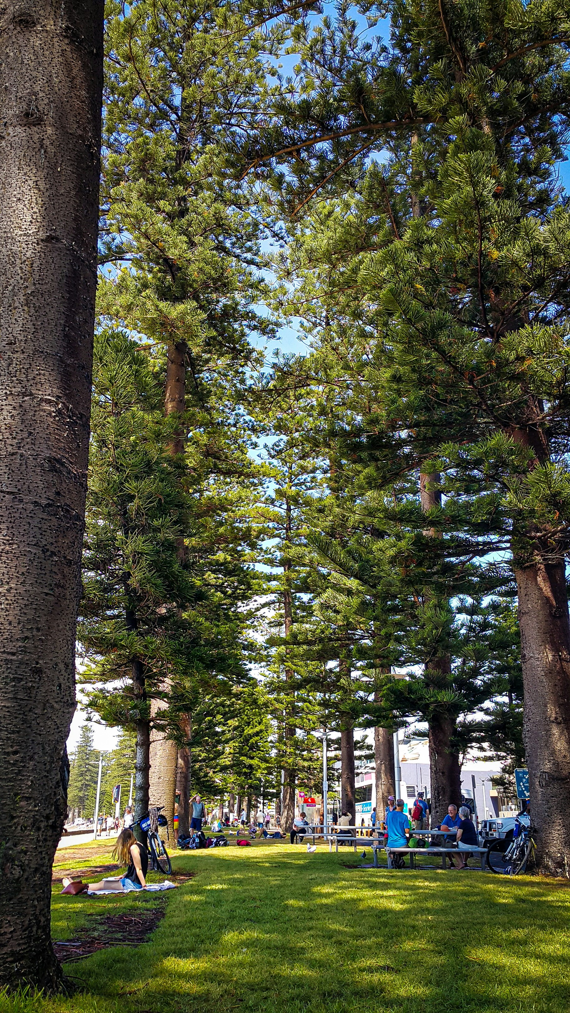 Photo by PJ Soans with Samsung Galaxy Note 4