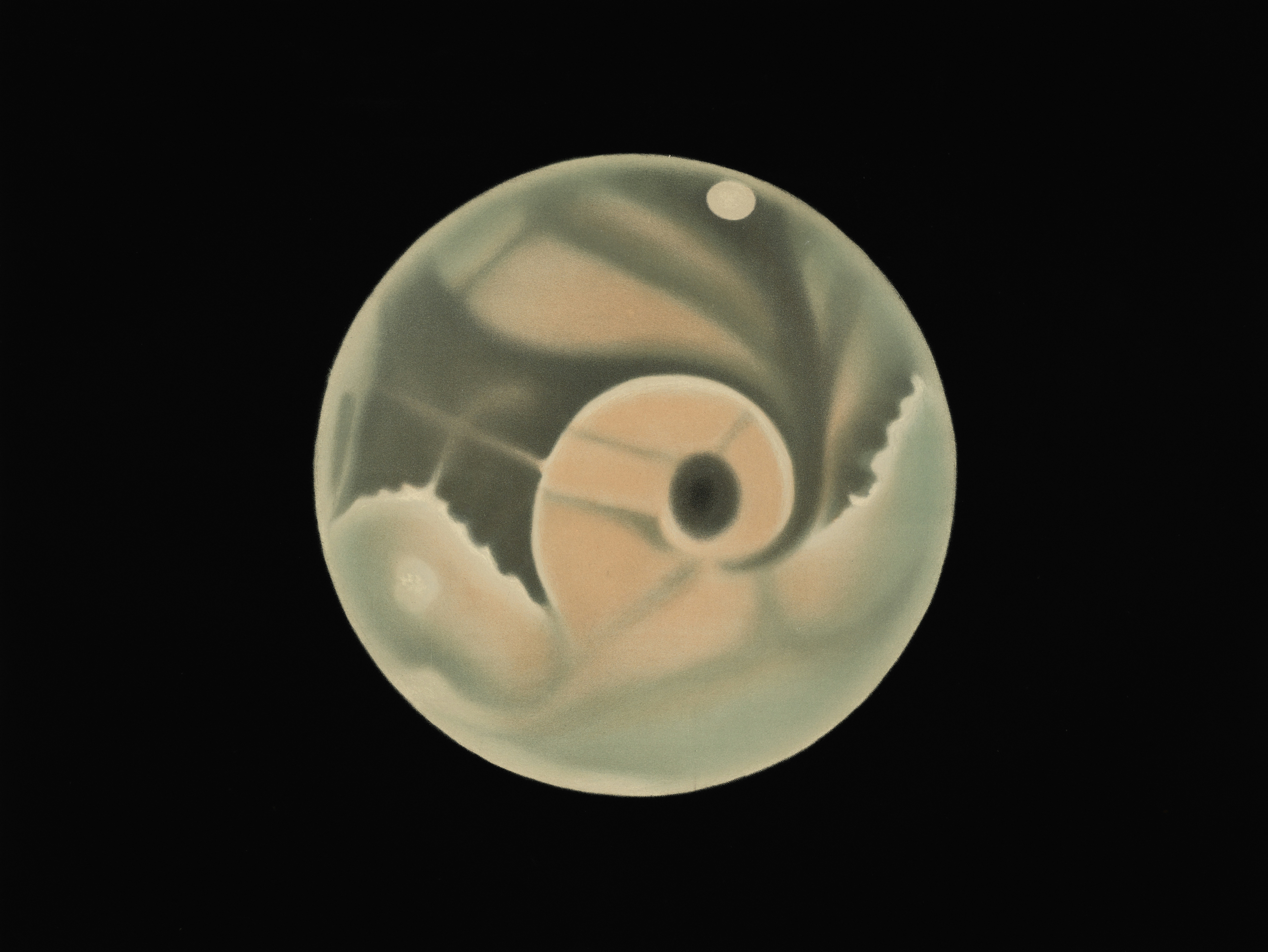 Nautilus Cross-Section in a Moonlit Ring