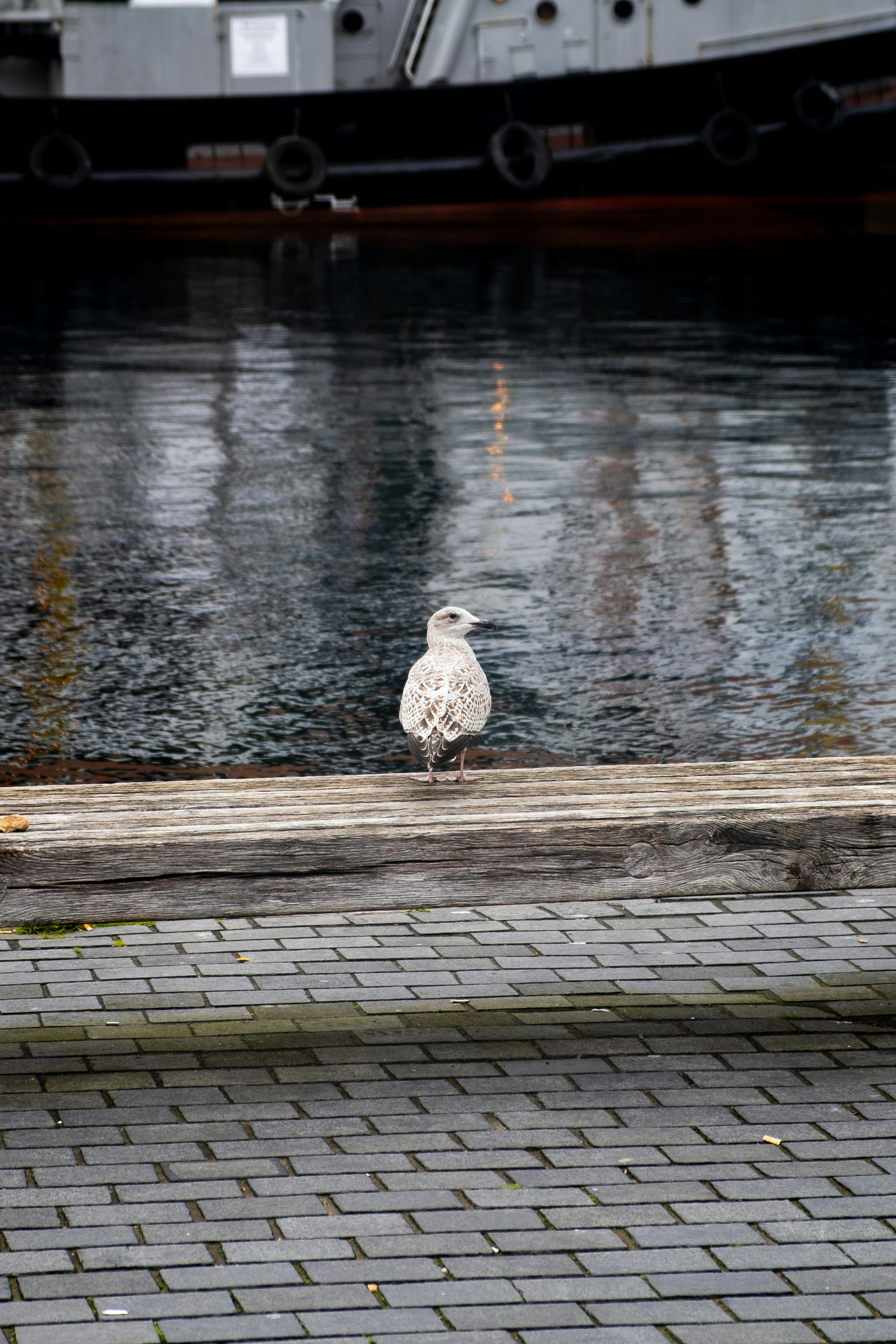 Photo by Husam Harrasi with Fujifilm X-T30 II