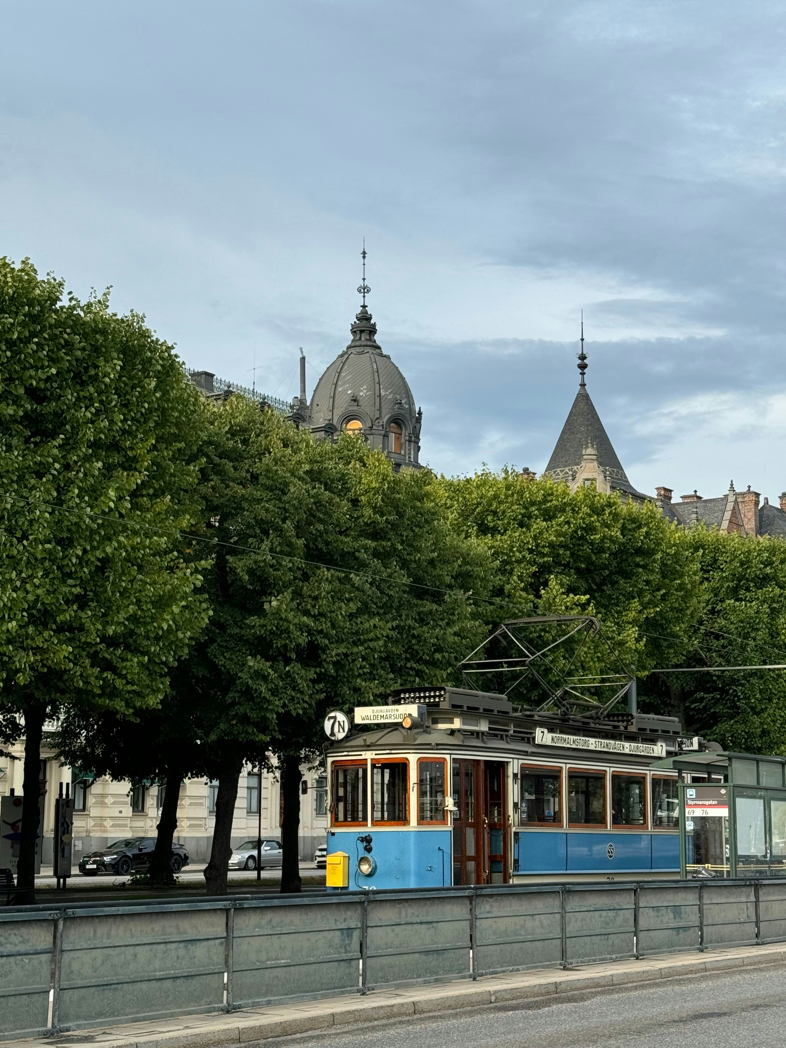 Electric Tram at Dusk: A Cityscape Framed by Verdant Canopies