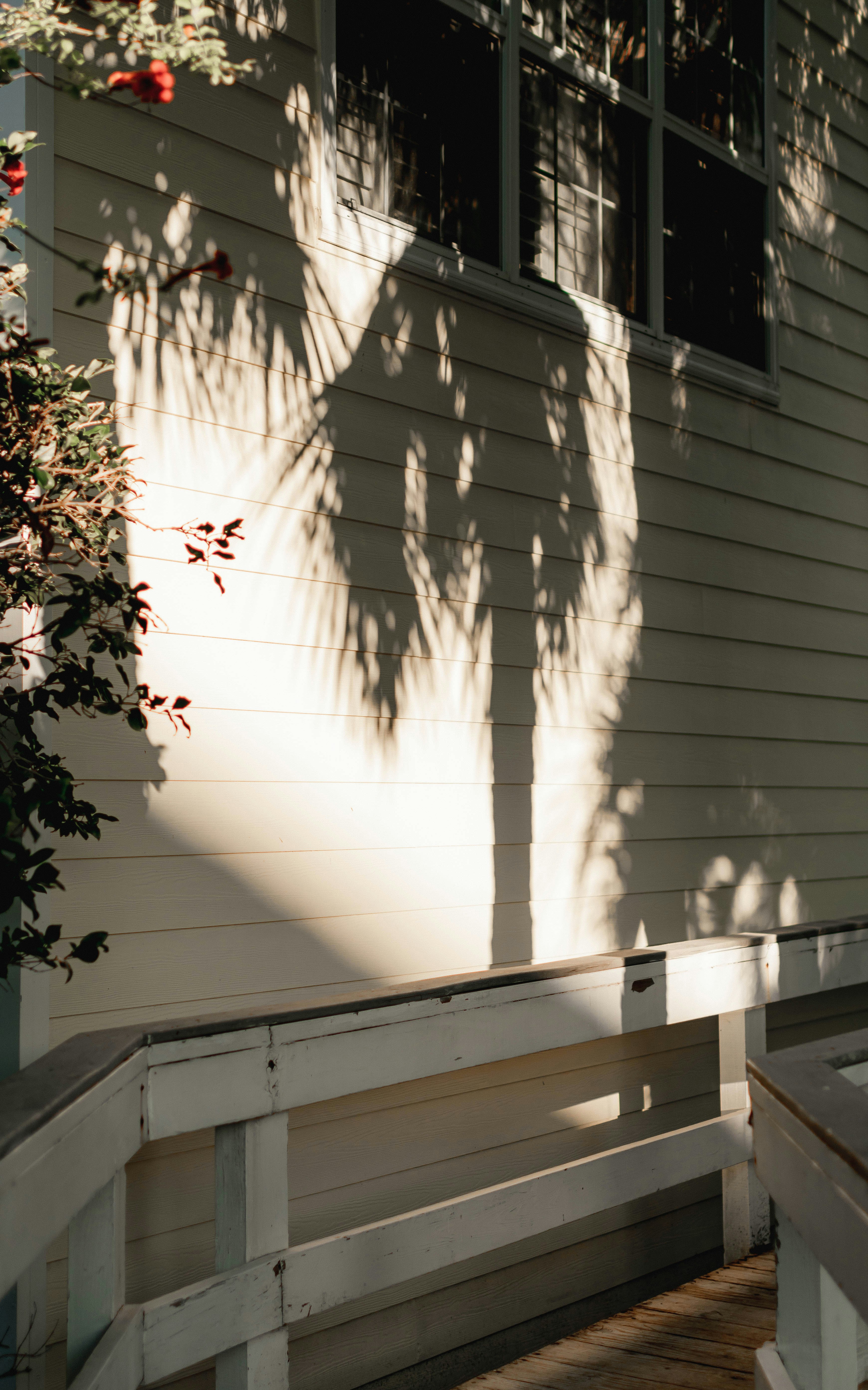 The shadow of a tree on the side of a house photo – Free Tree Image on ...