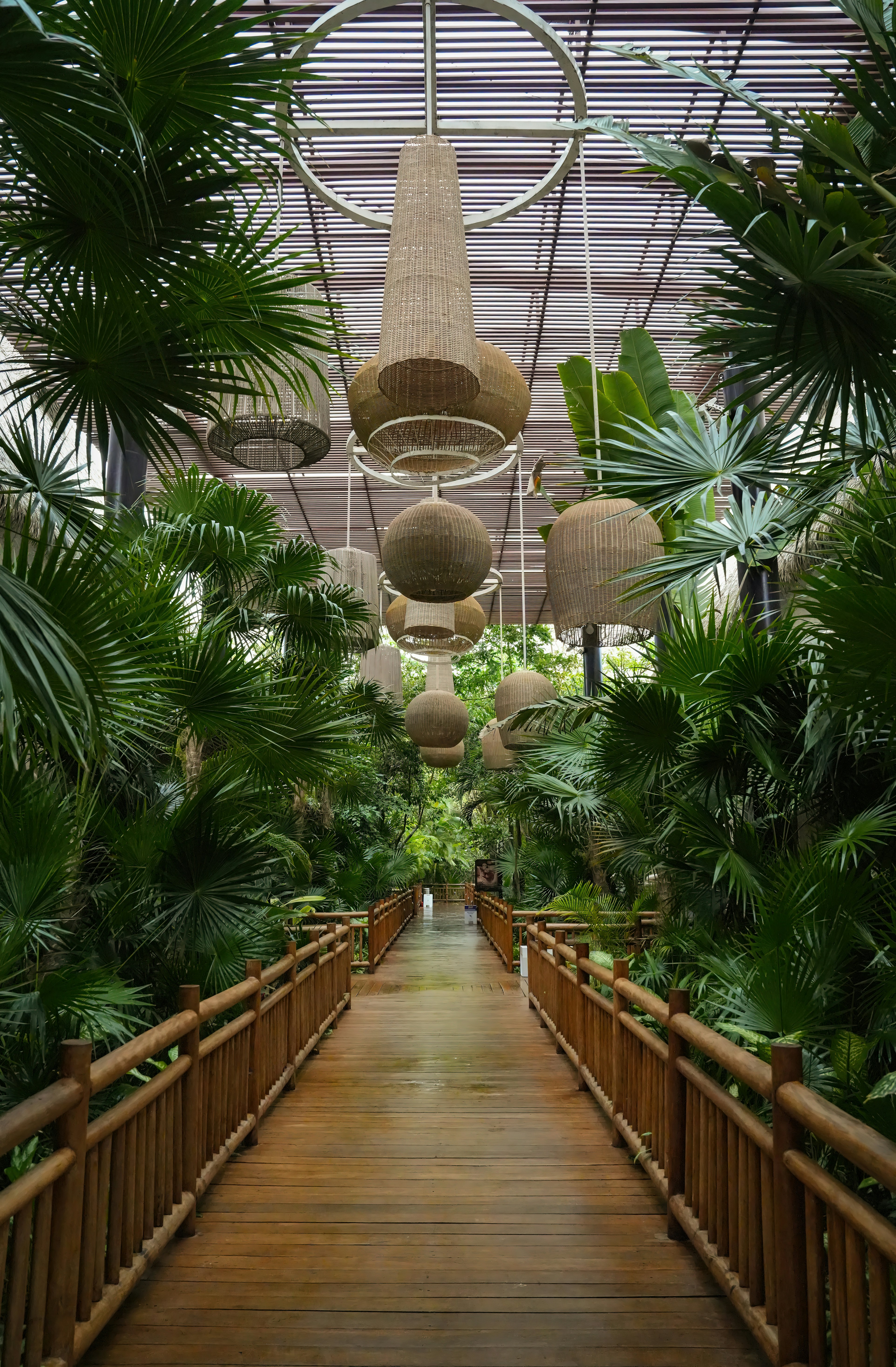 A peaceful wooden walkway adorned with large woven lanterns, surrounded by lush tropical plants and vibrant greenery under a sheltered canopy.
