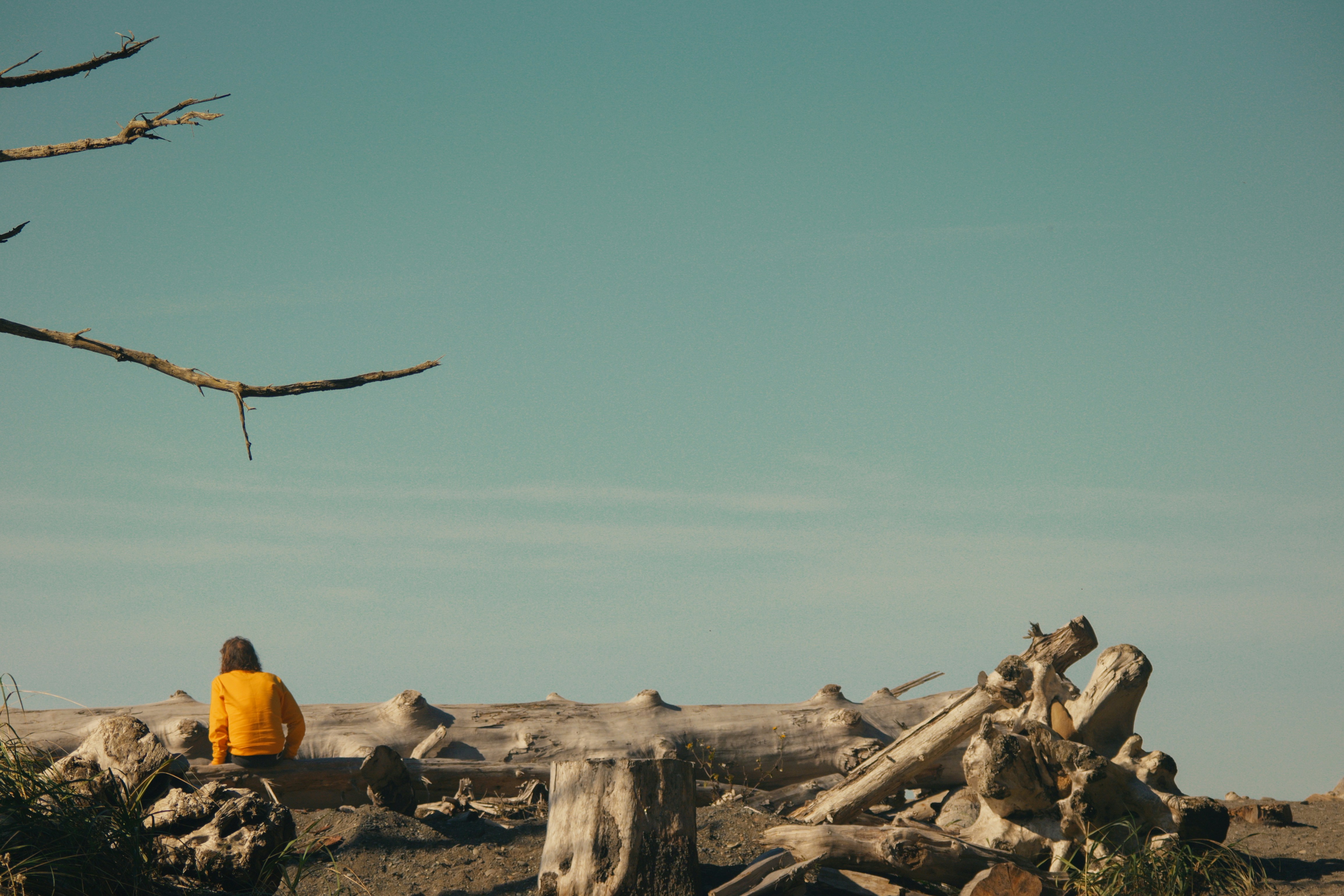 A person sitting on a log in a field