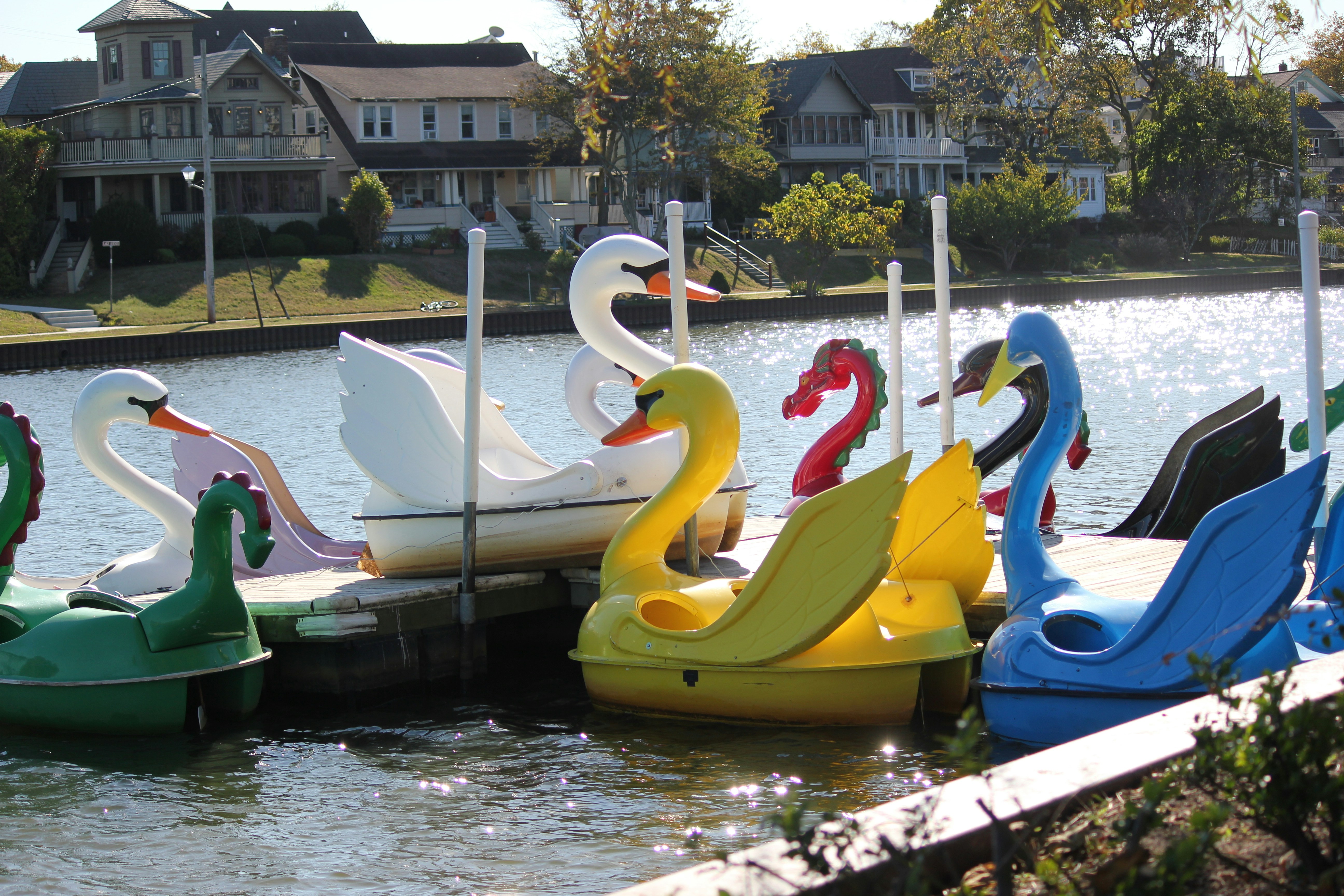 A row of swan boats floating on top of a lake photo – Free Water Image ...