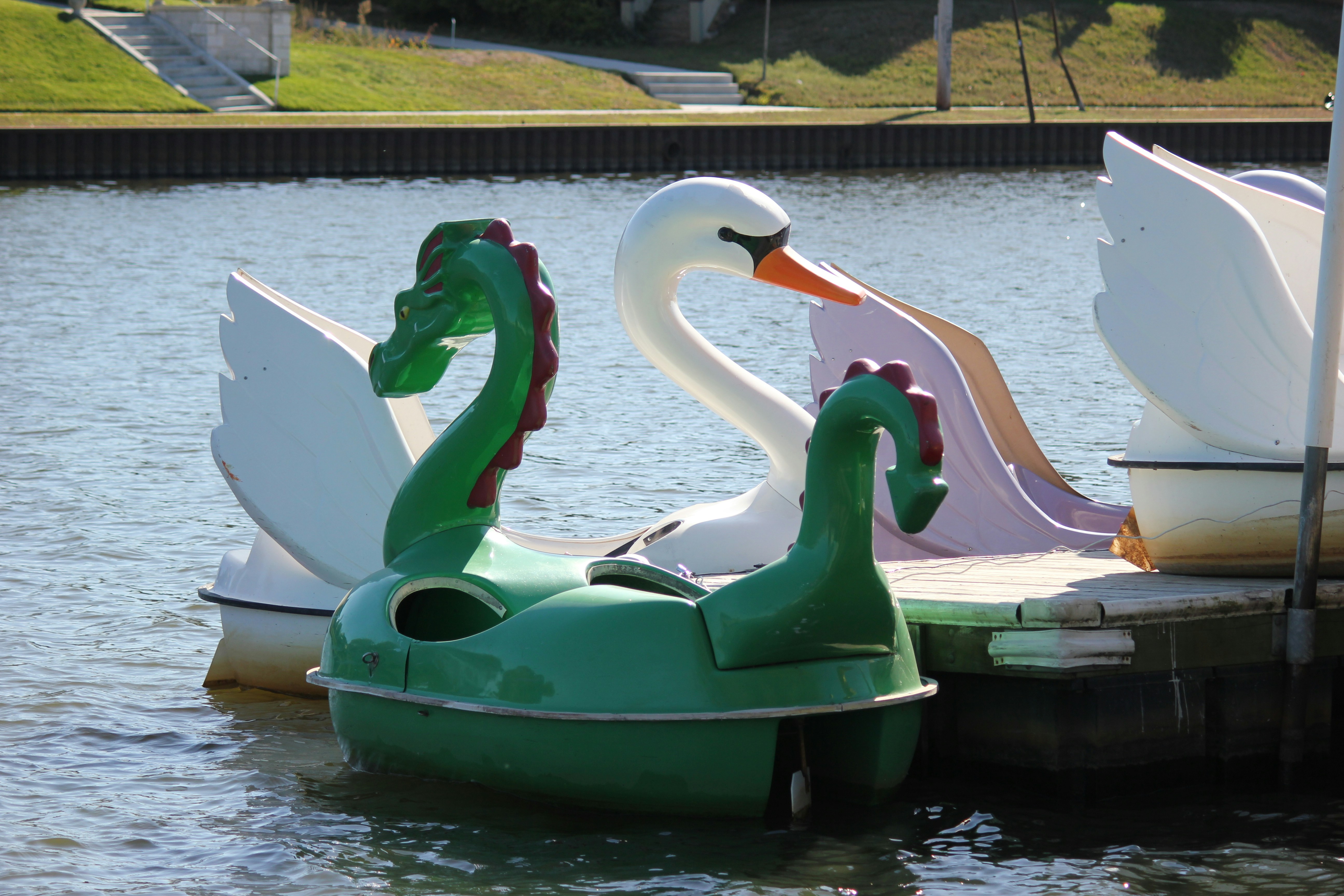 Emerald Swan Pedal-Boat at Riverside Dock: Quiet Parade of Color