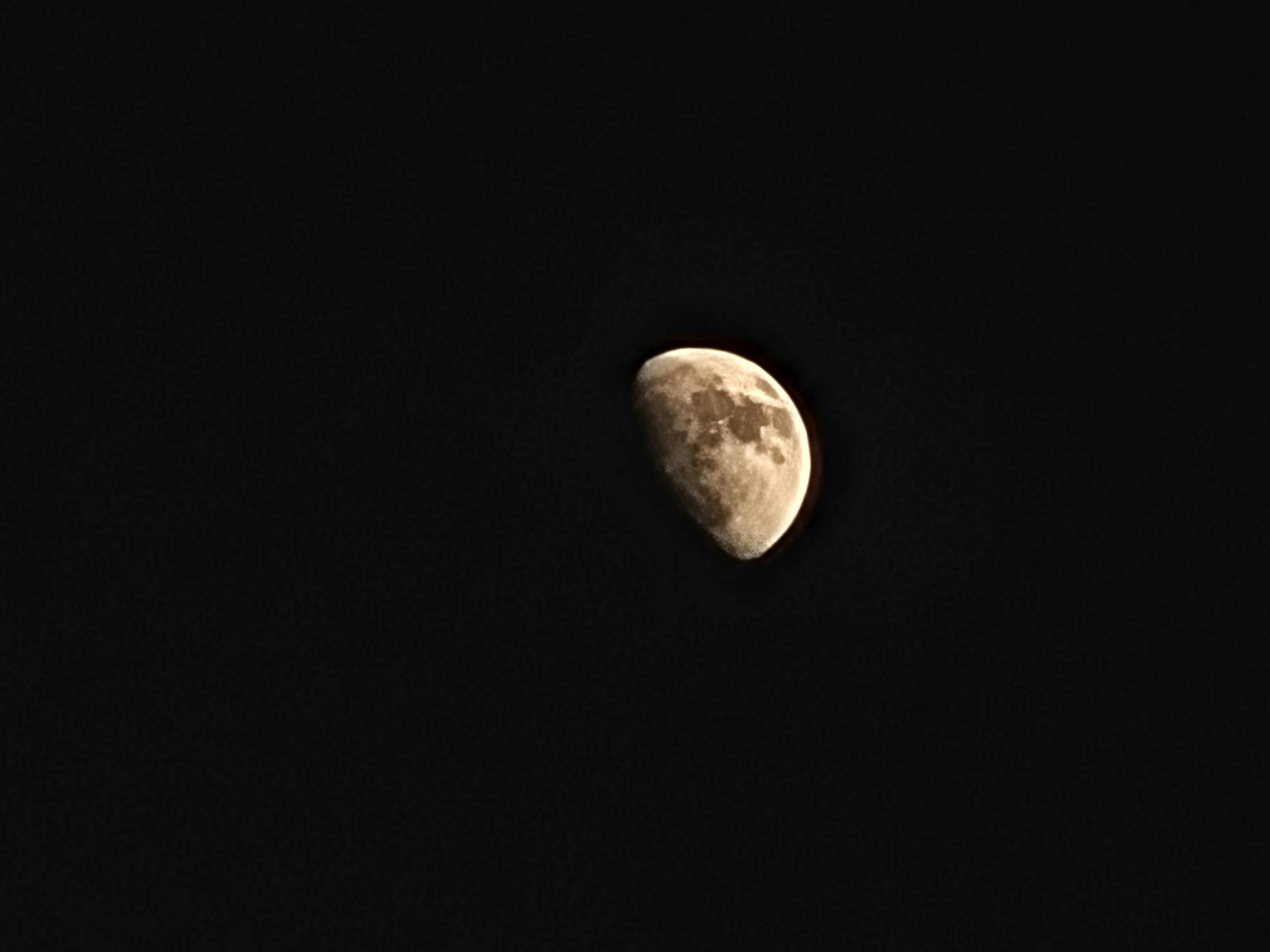 Moonlit Crescent: Soft Earthshine on a Dusky Mare