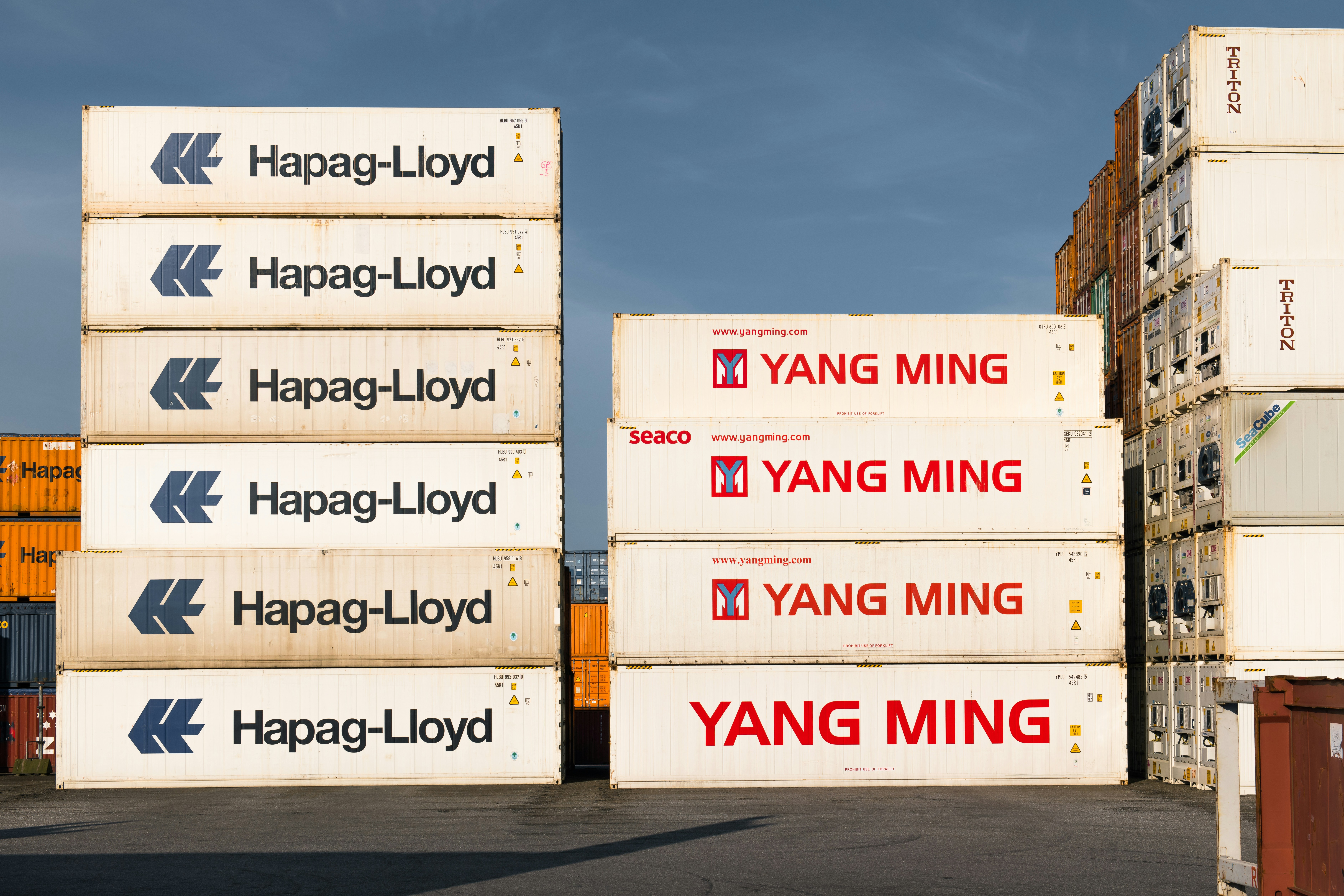Parallel Cargo Towers: Hapag-Lloyd and YANG MING in a Sunlit Dockyard