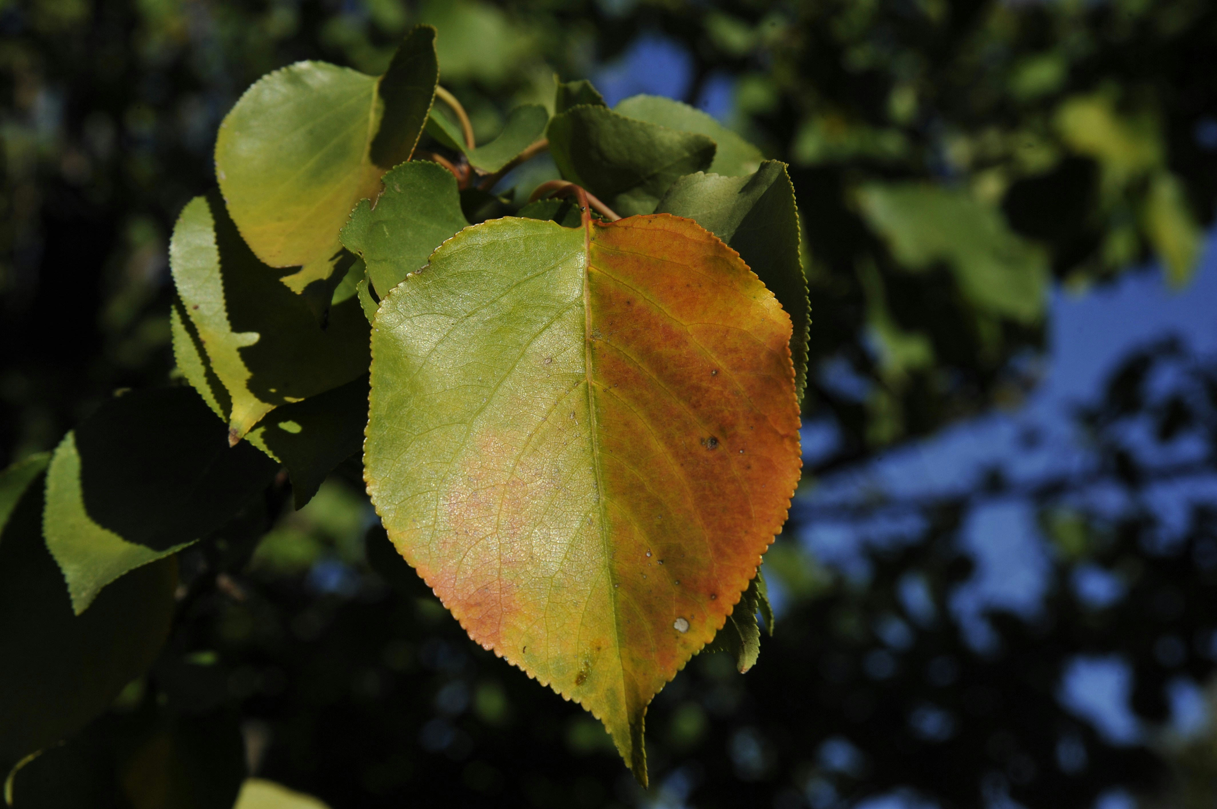 Photo by JOGsplash with Nikon D700