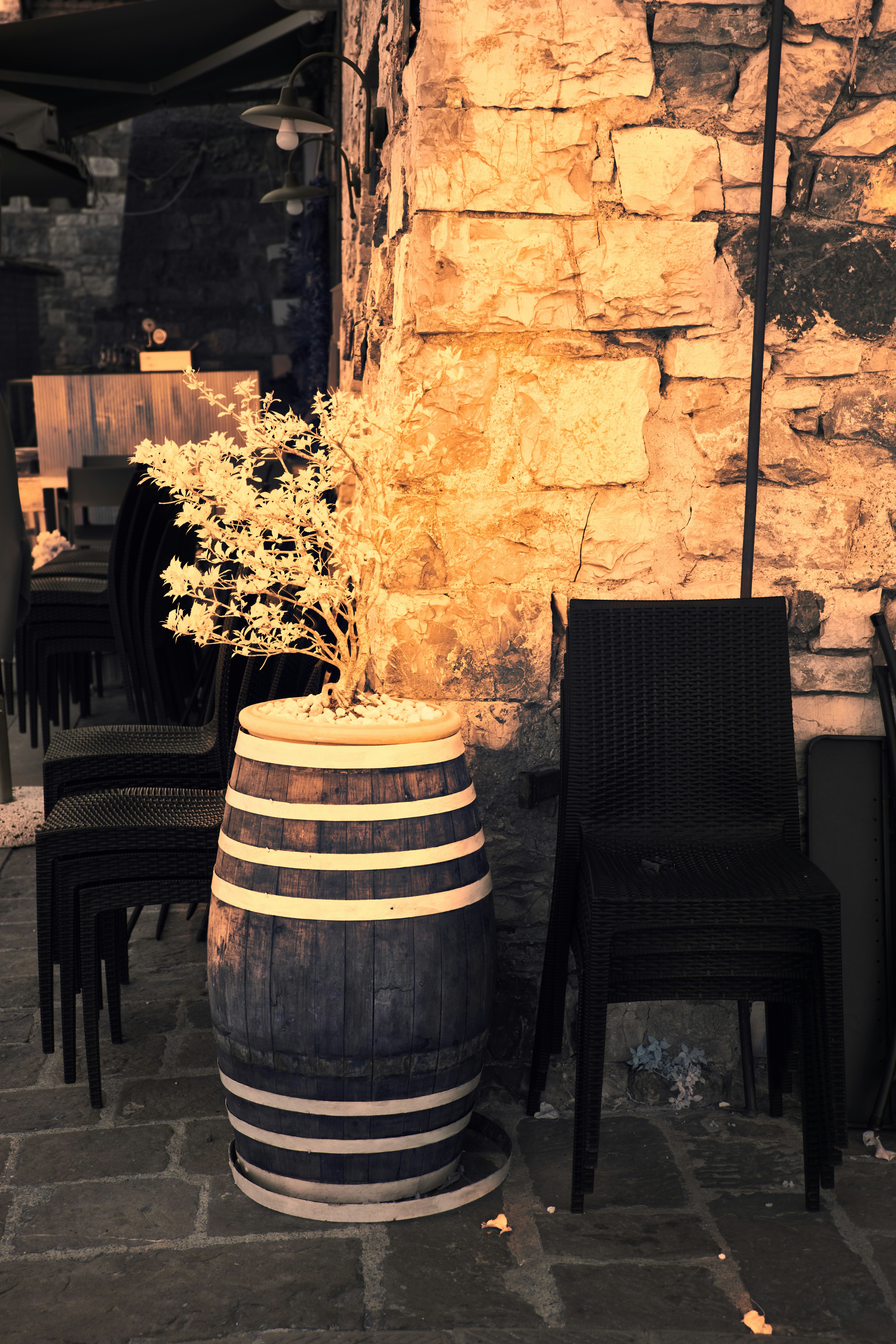 Amber Light on a Barrel Planter in a Stone Courtyard