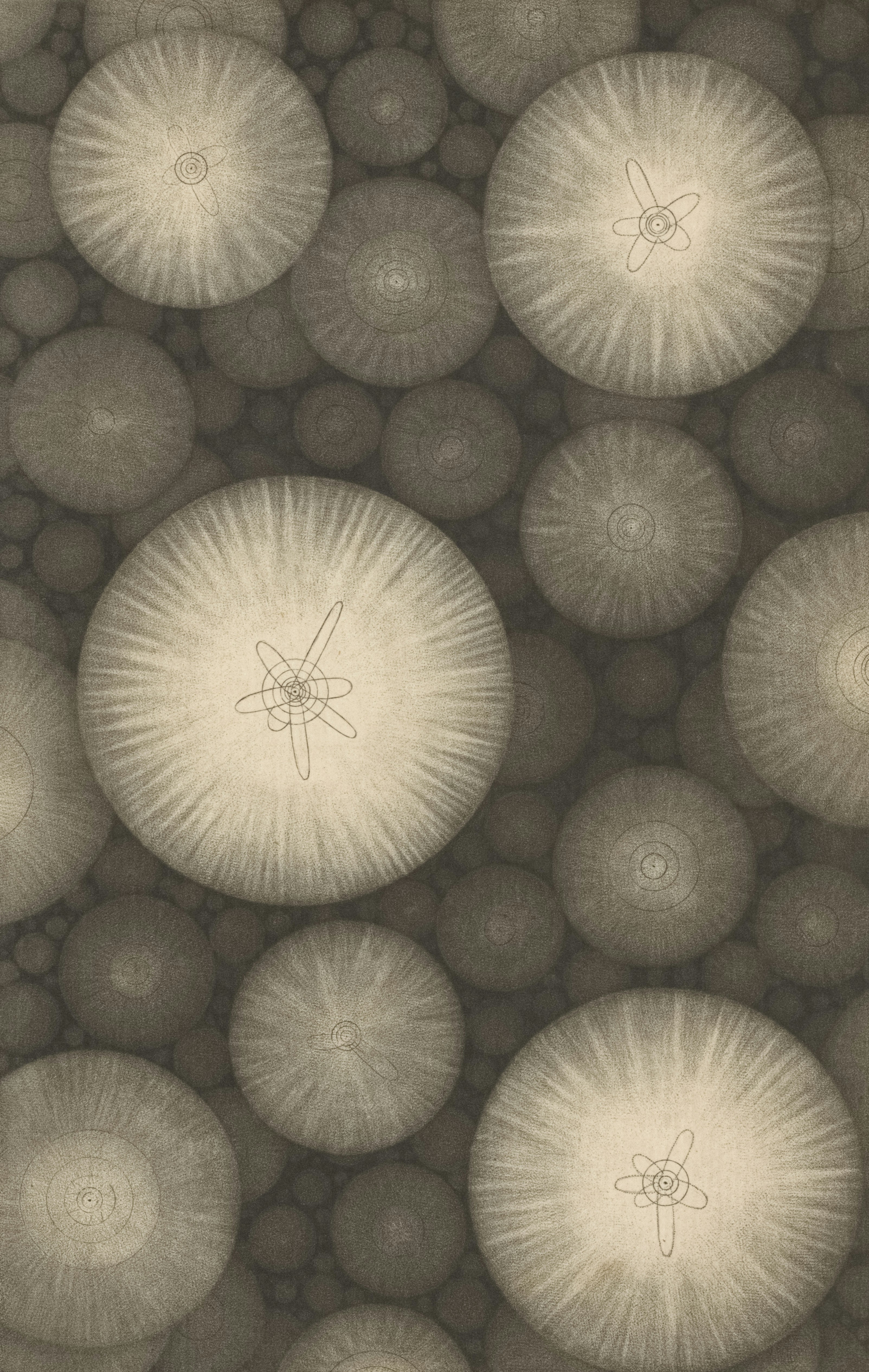 Sepia Field of Concentric Orbs Bearing Atomic Logos