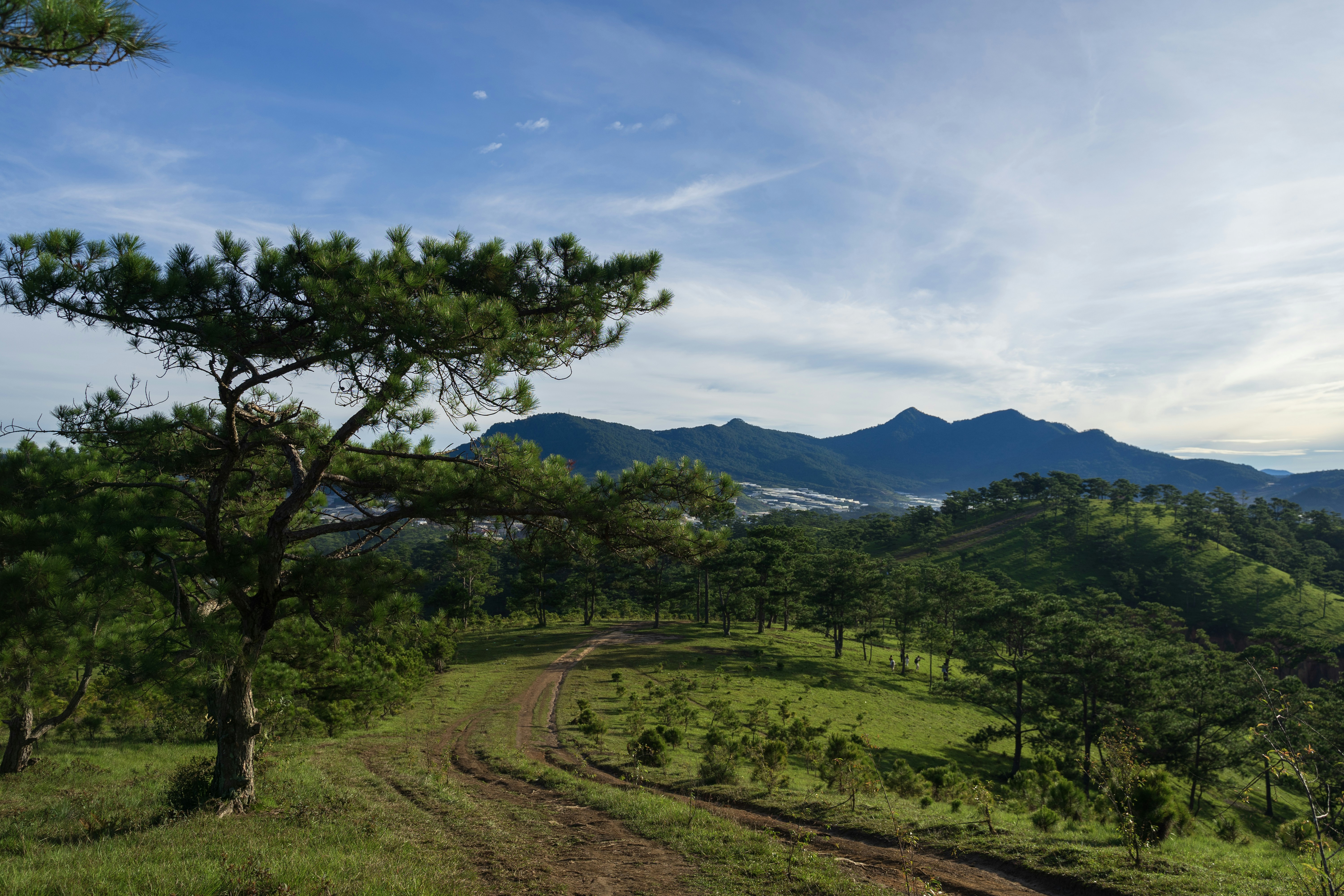 Photo by Irish83 with Sony Alpha 7 II