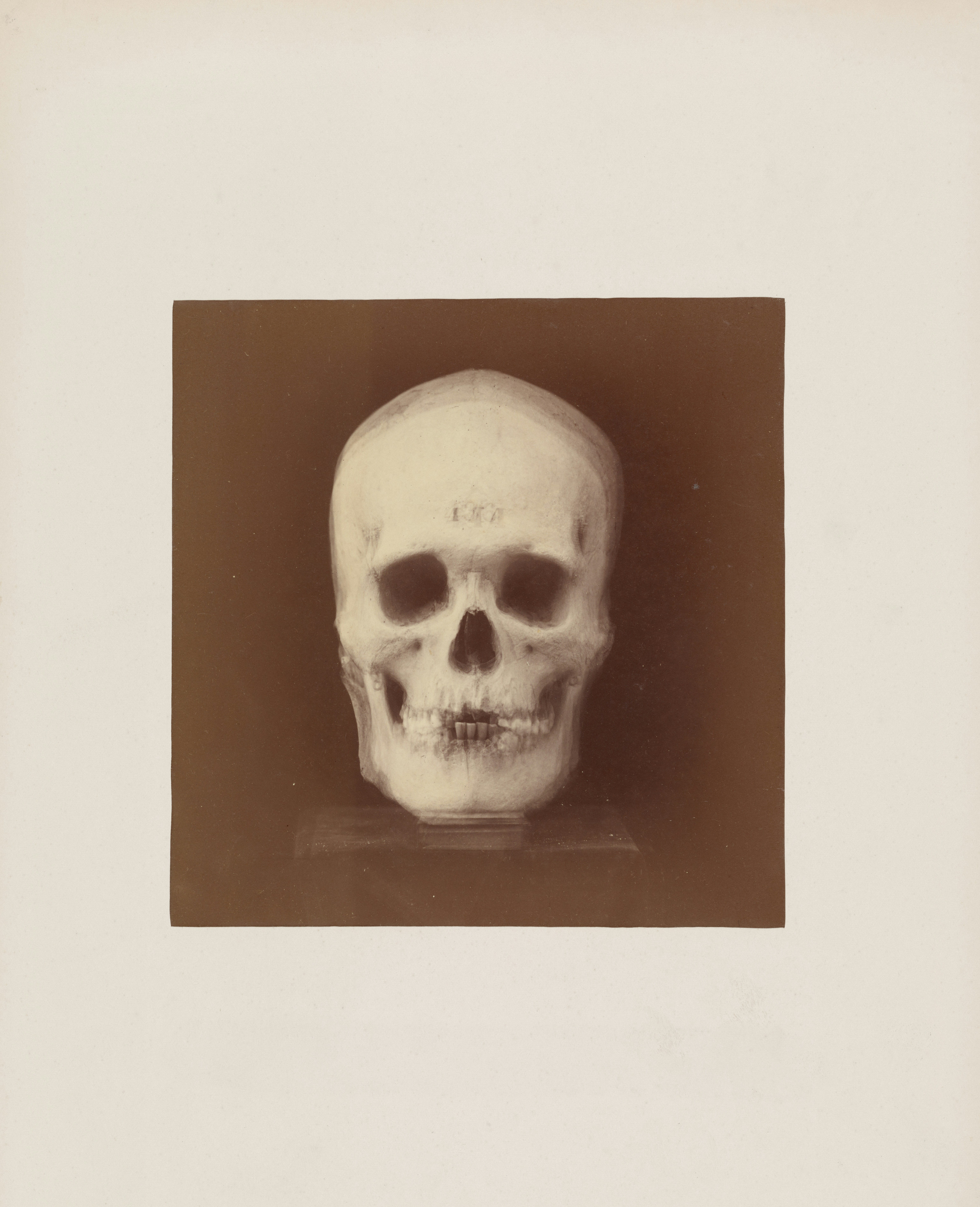 The Miriam and Ira D. Wallach Division of Art, Prints and Photographs: Photography Collection, The New York Public Library. "Seven Adult Male Sandwich Islanders [front view]" The New York Public Library Digital Collections. 1885 - 1887. https://digitalcollections.nypl.org/items/02055b20-2289-0132-32c2-58d385a7bbd0