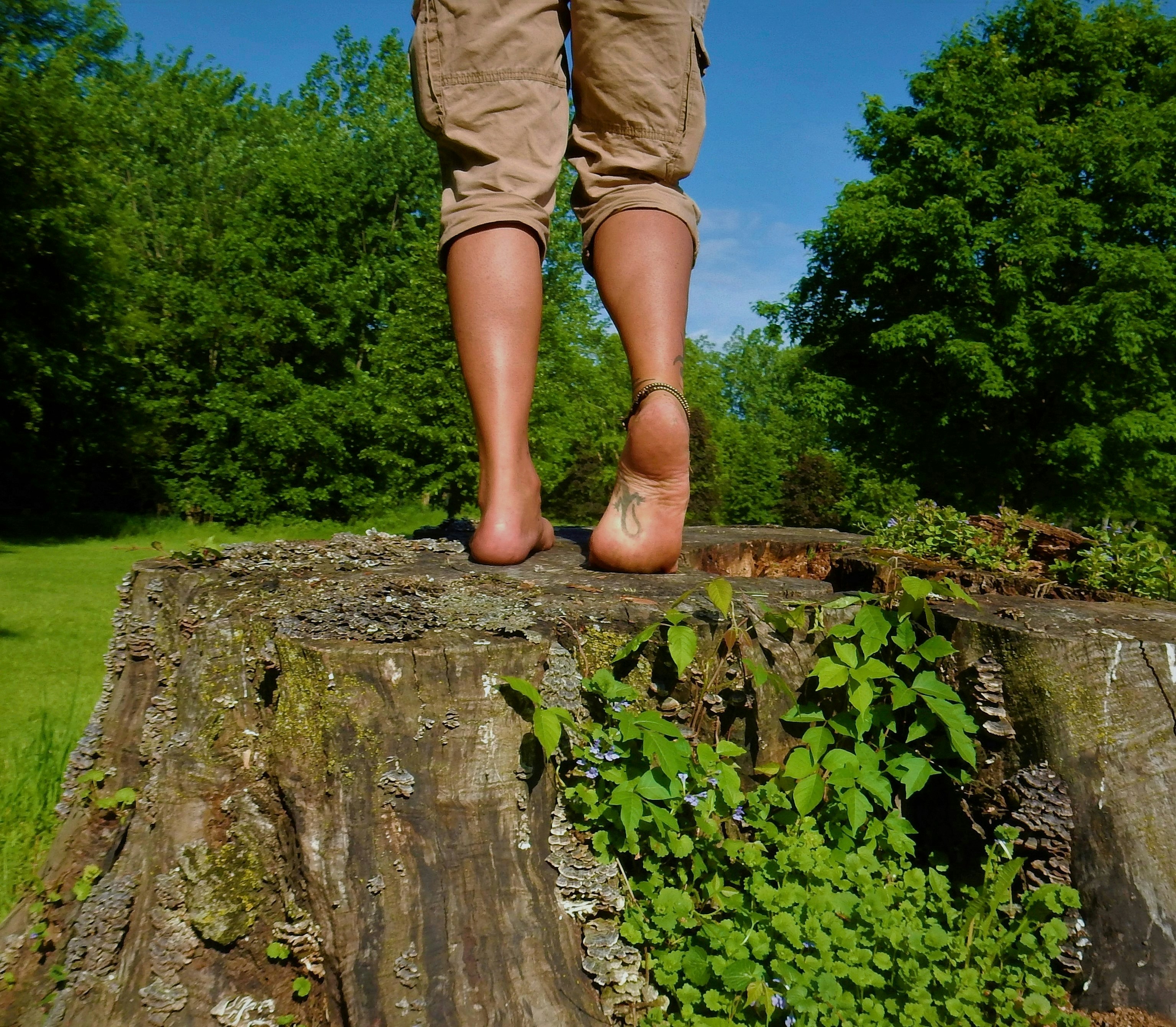 A person standing on top of a tree stump photo – Free Share Image on ...