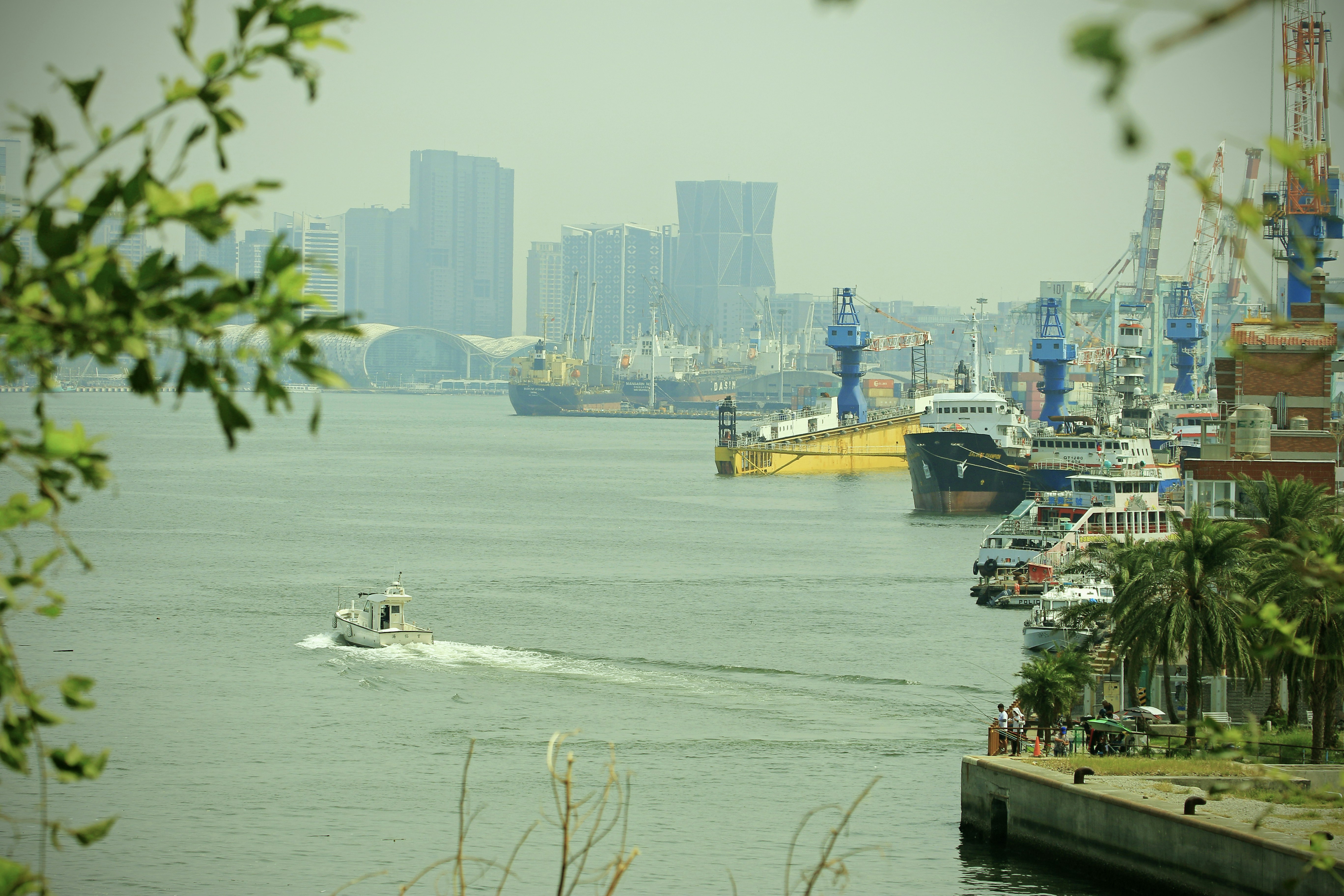 Wake Across the Port: A Speedboat, Skyline Cranes, and Framing Foliage