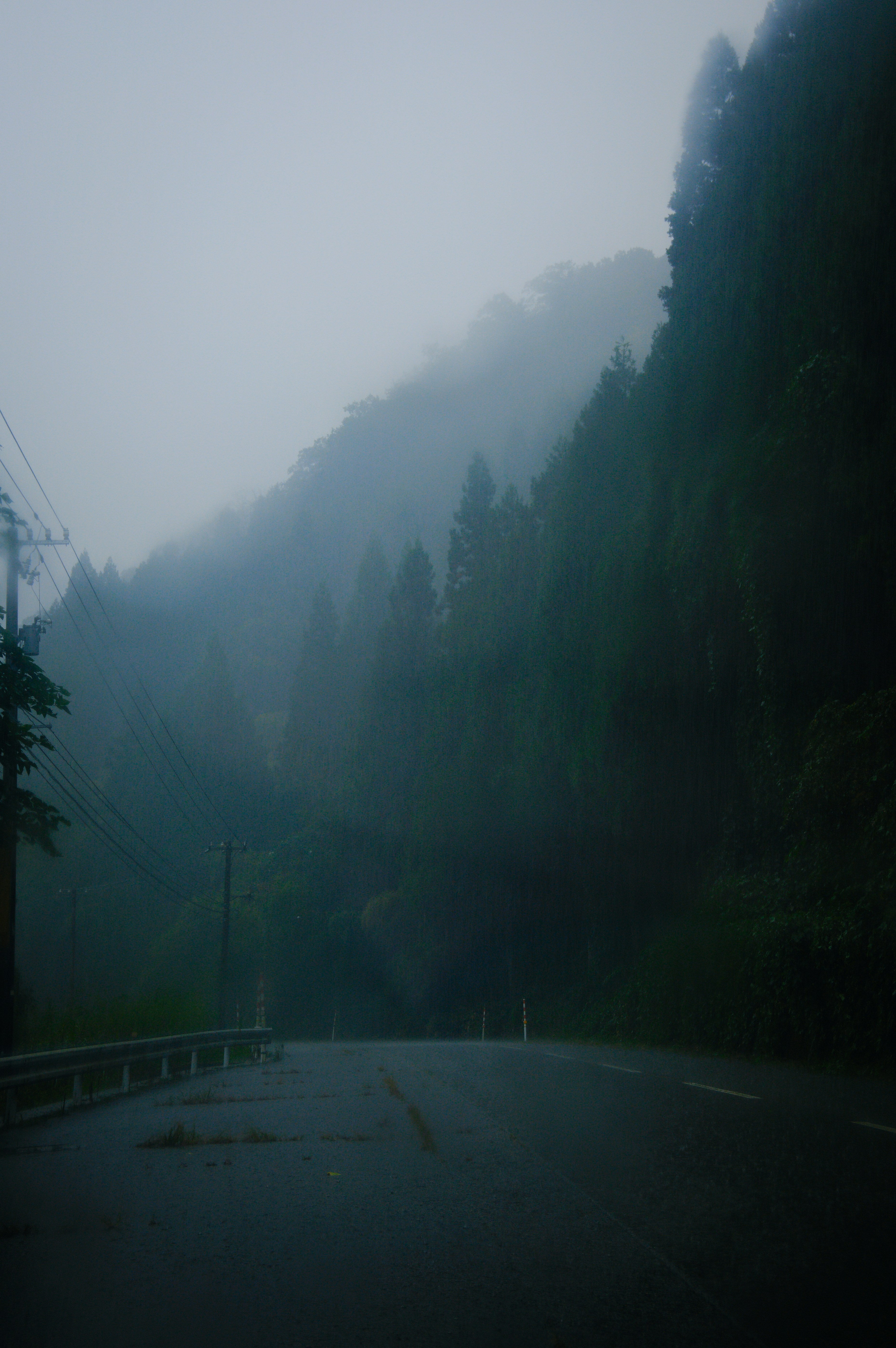 A foggy road in the middle of a forest photo – Free Japan Image on Unsplash