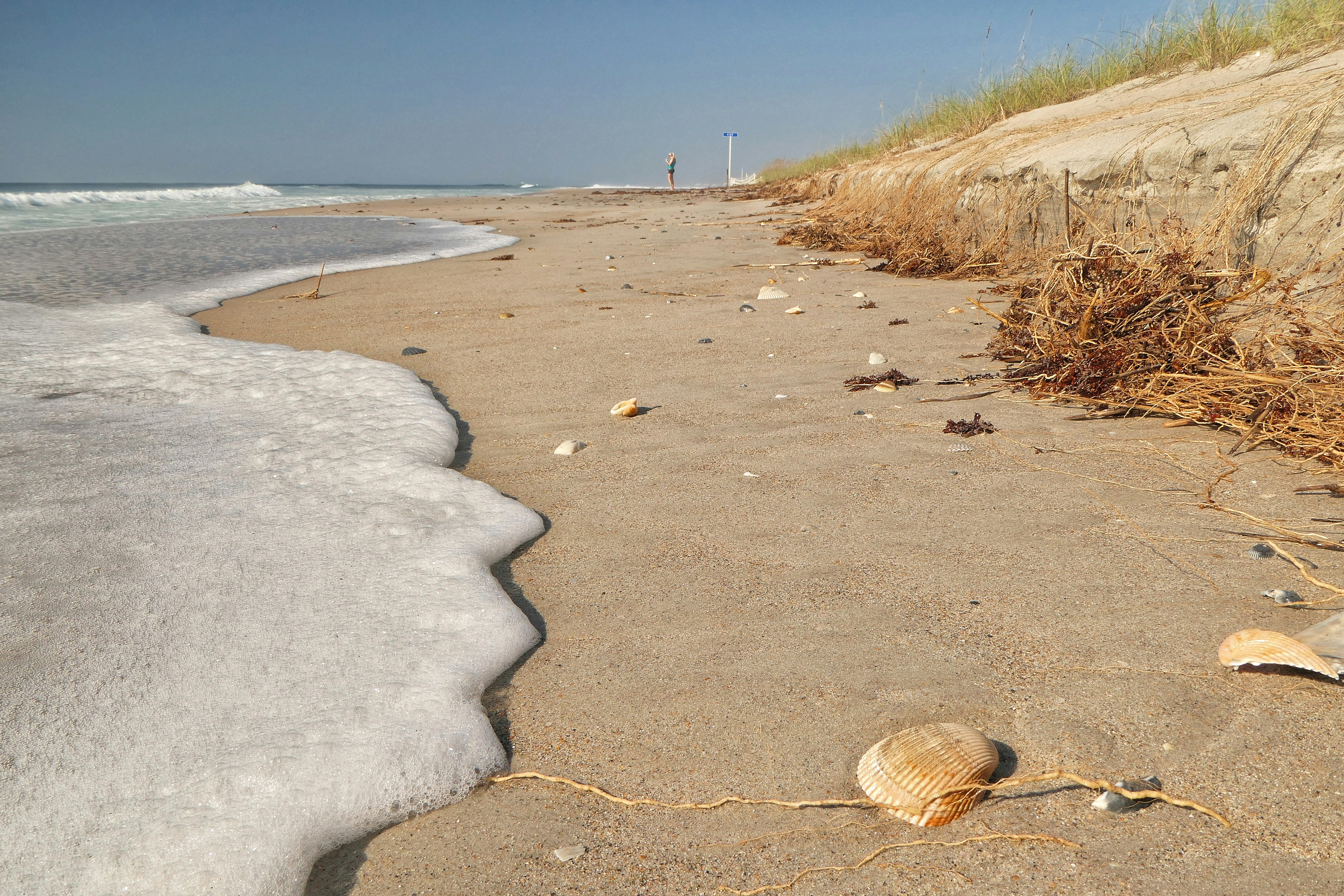 Where Sea Embraces Sand: Dune-line at Quiet Shore