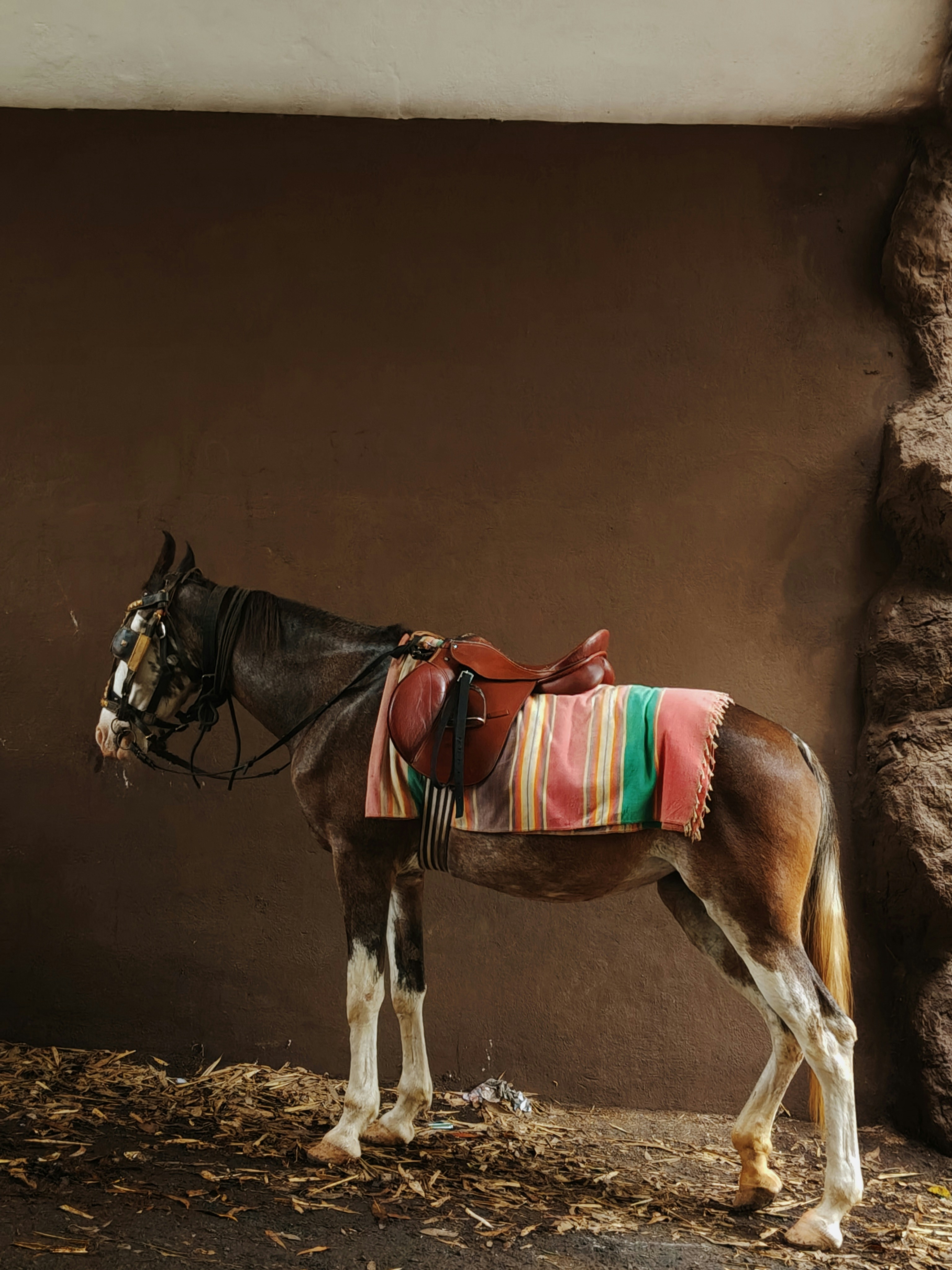 Sample photo from Realme 12 Pro Plus