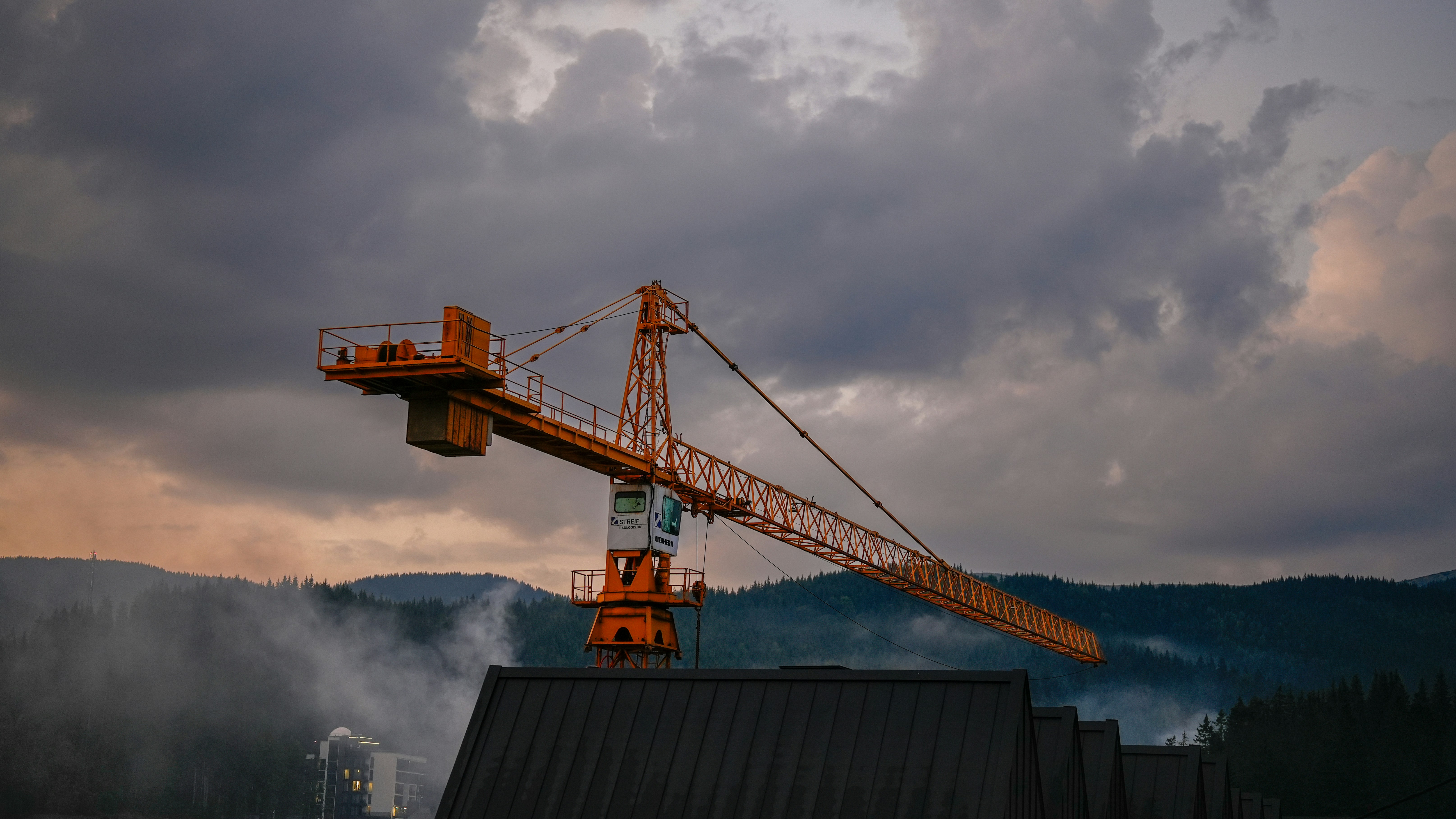 Crane Crowned Against a Misty Ridge
