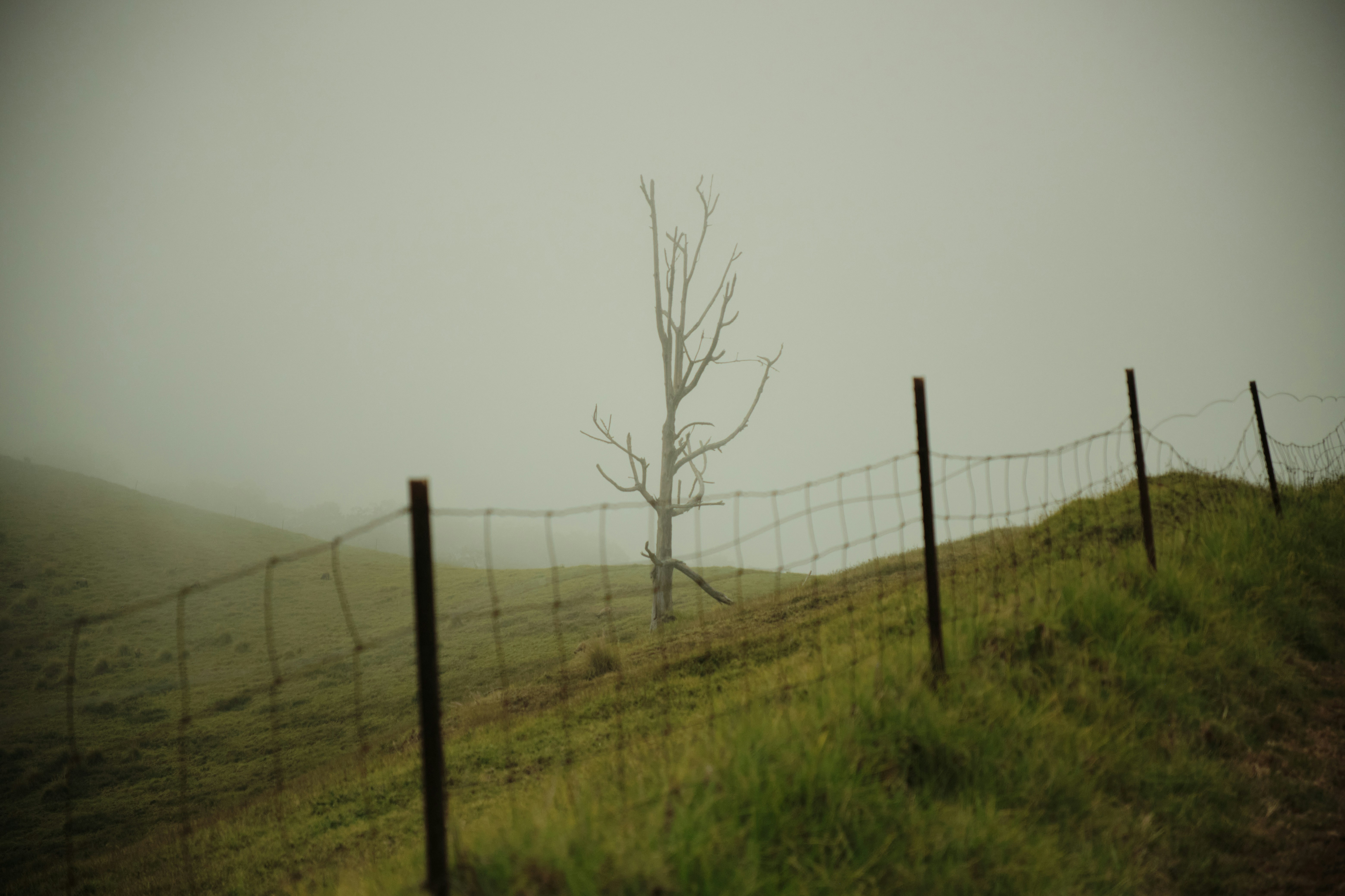 Photo by Joel Heaps with Fujifilm X-T4