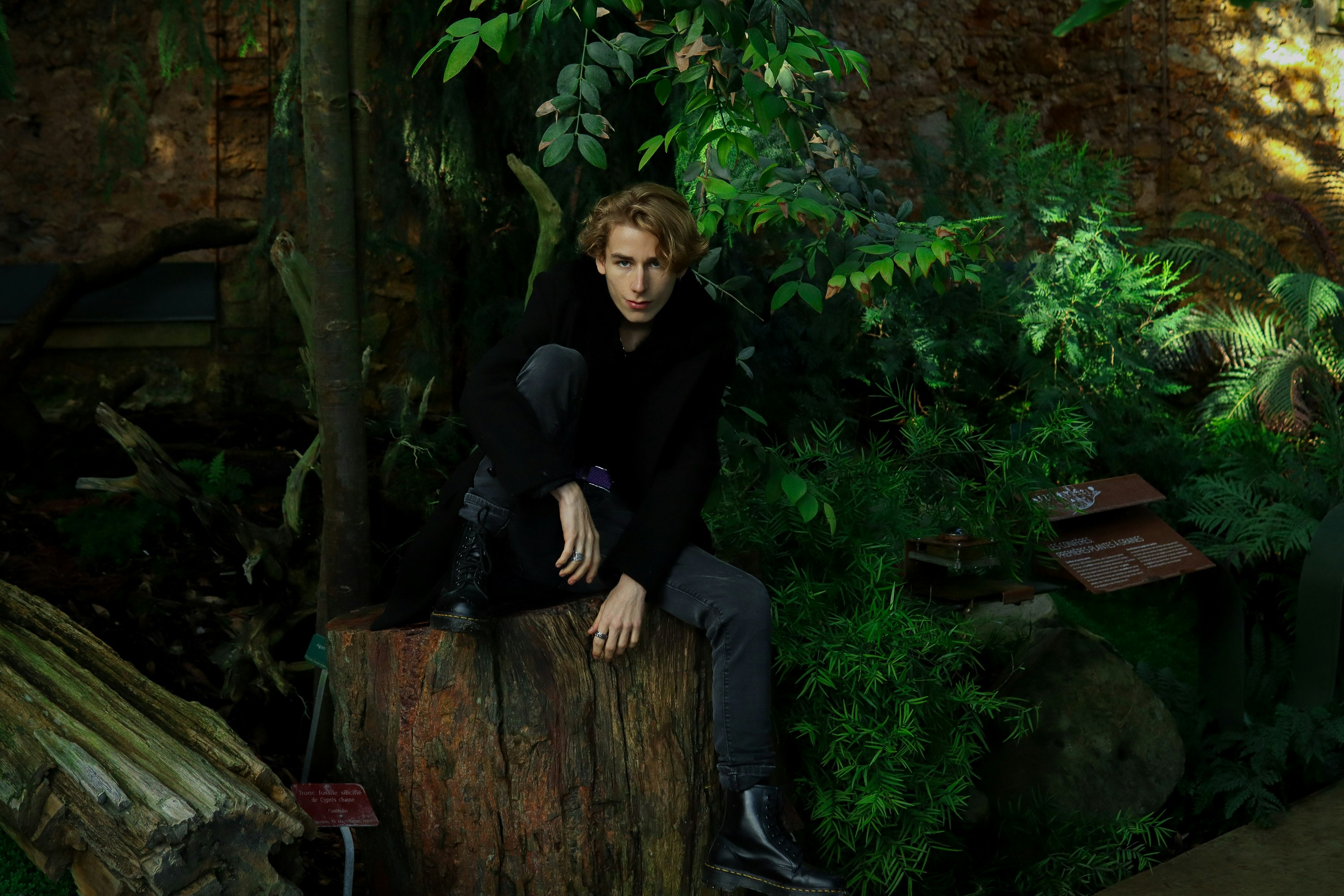 Verdant Quiet: Youth on a Mossy Stump Amid a Garden Backdrop