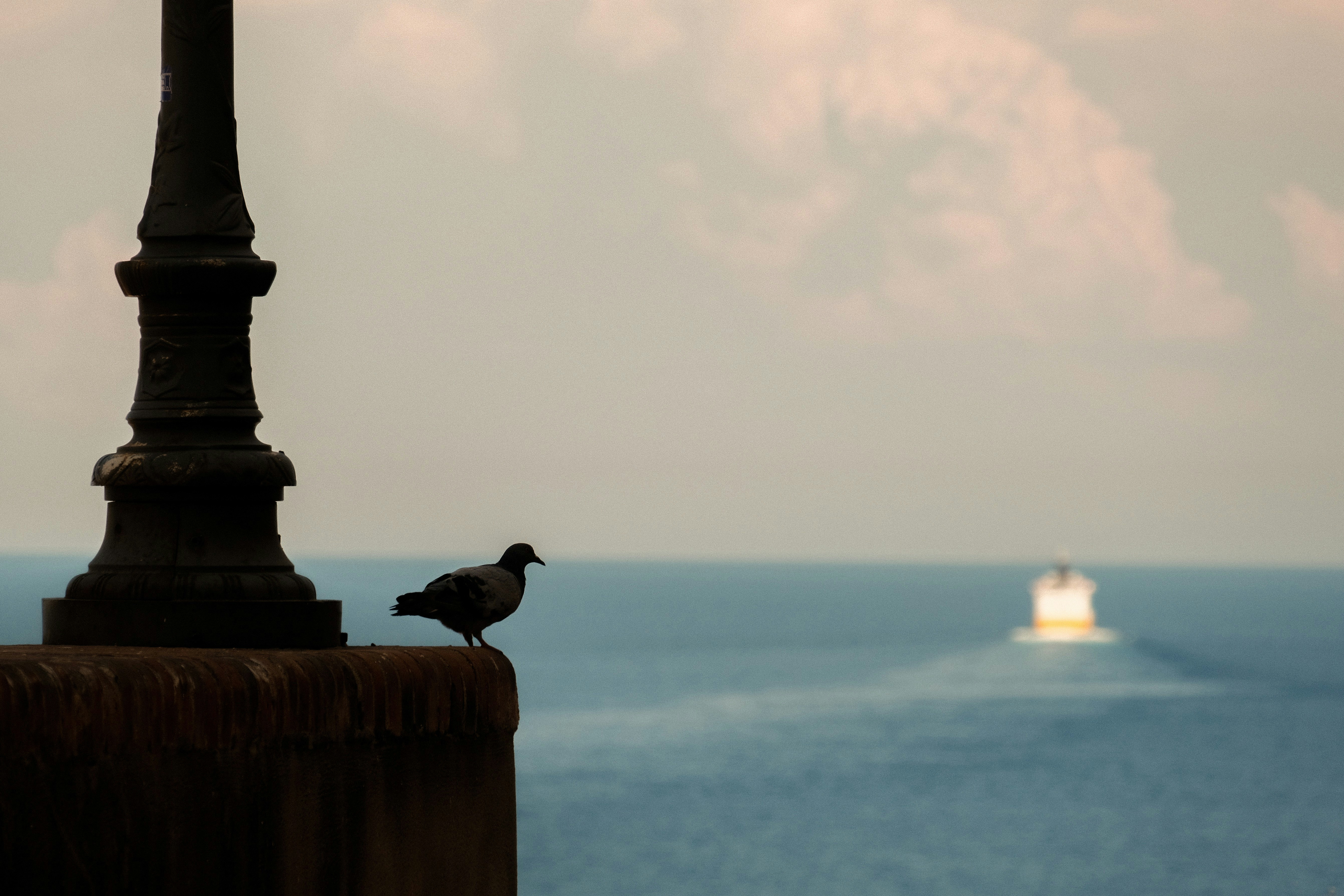 Silhouette of a pigeon perched on a ledge, with a distant boat gliding across the calm sea under a soft sky.
