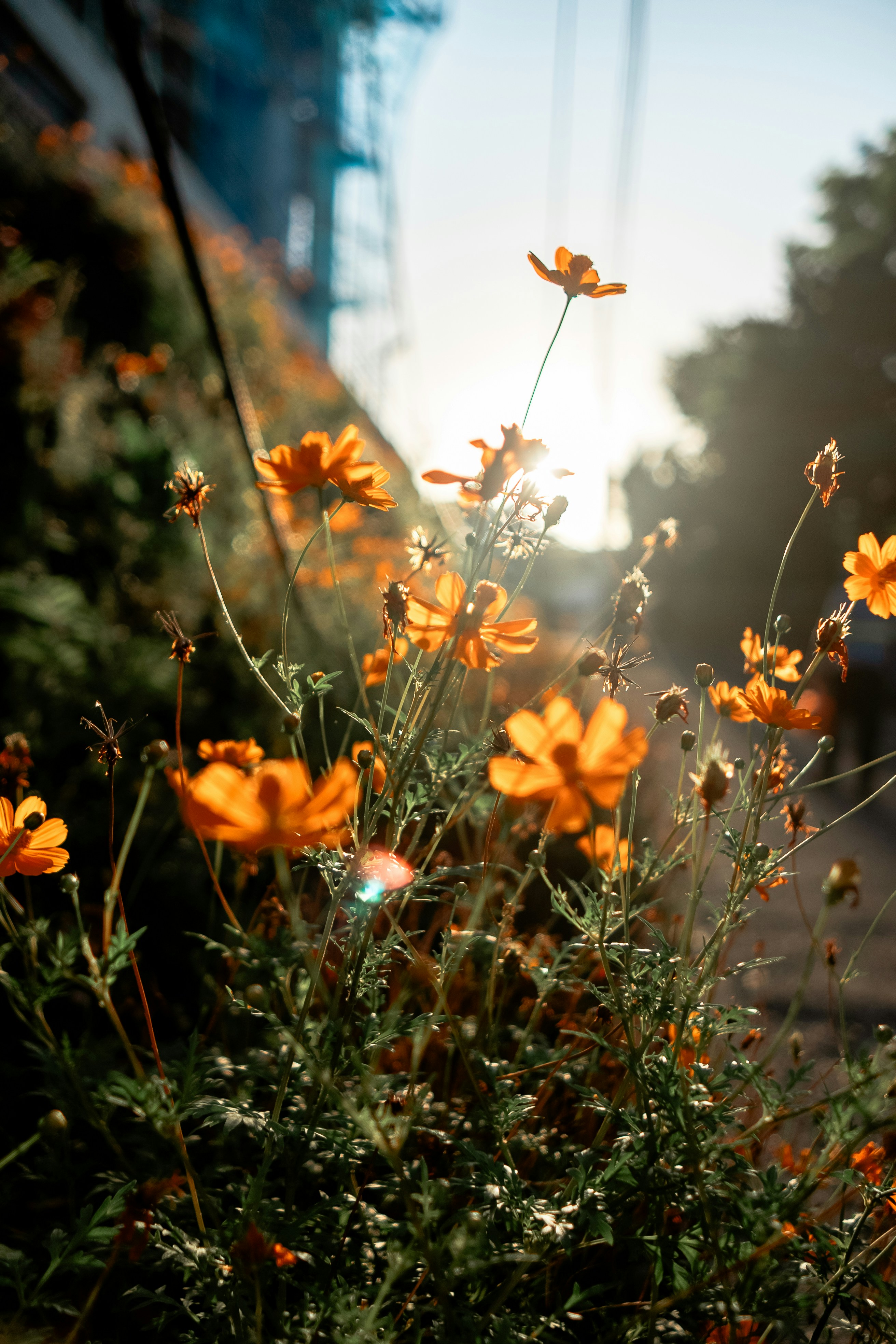 Frames For Your Heart (@framesforyourheart) | Unsplash Photo Community