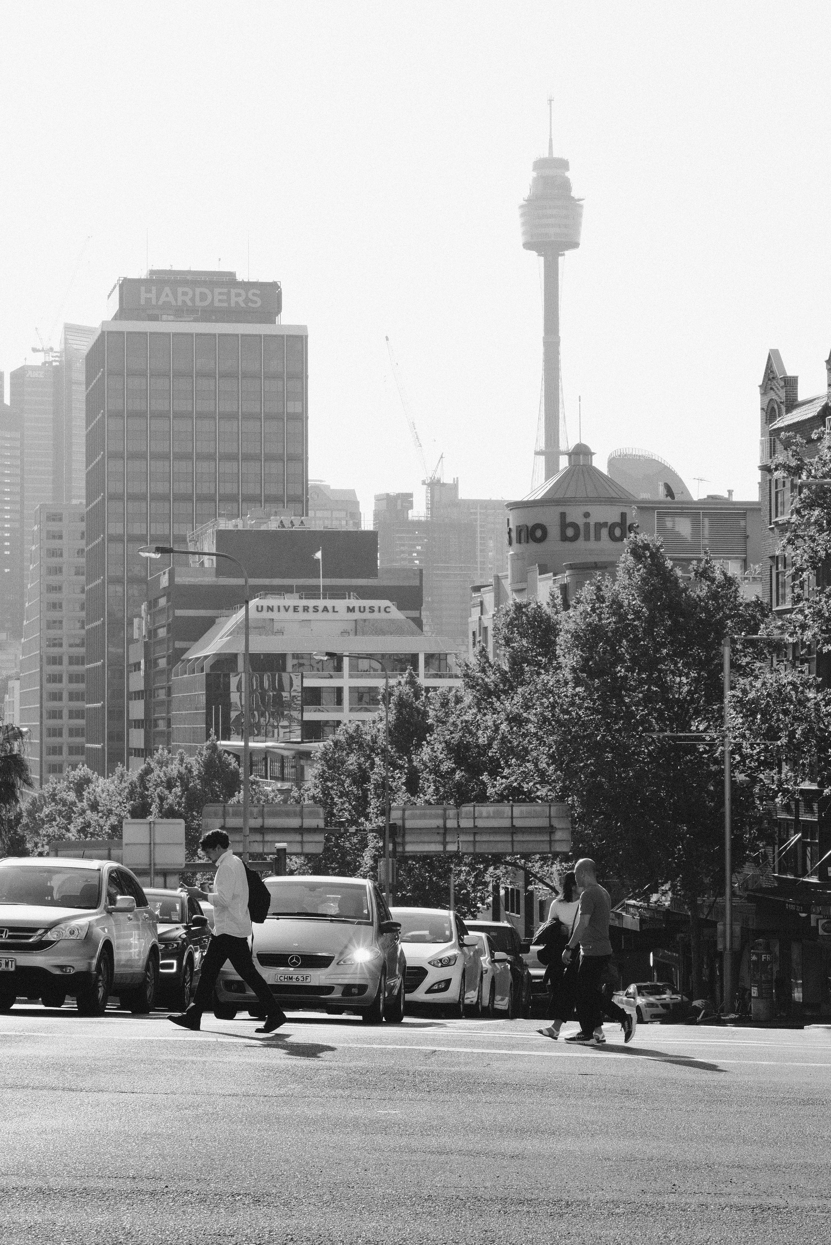Monochrome Crosswalk: Urban Pulse Beneath a Towering Skyline
