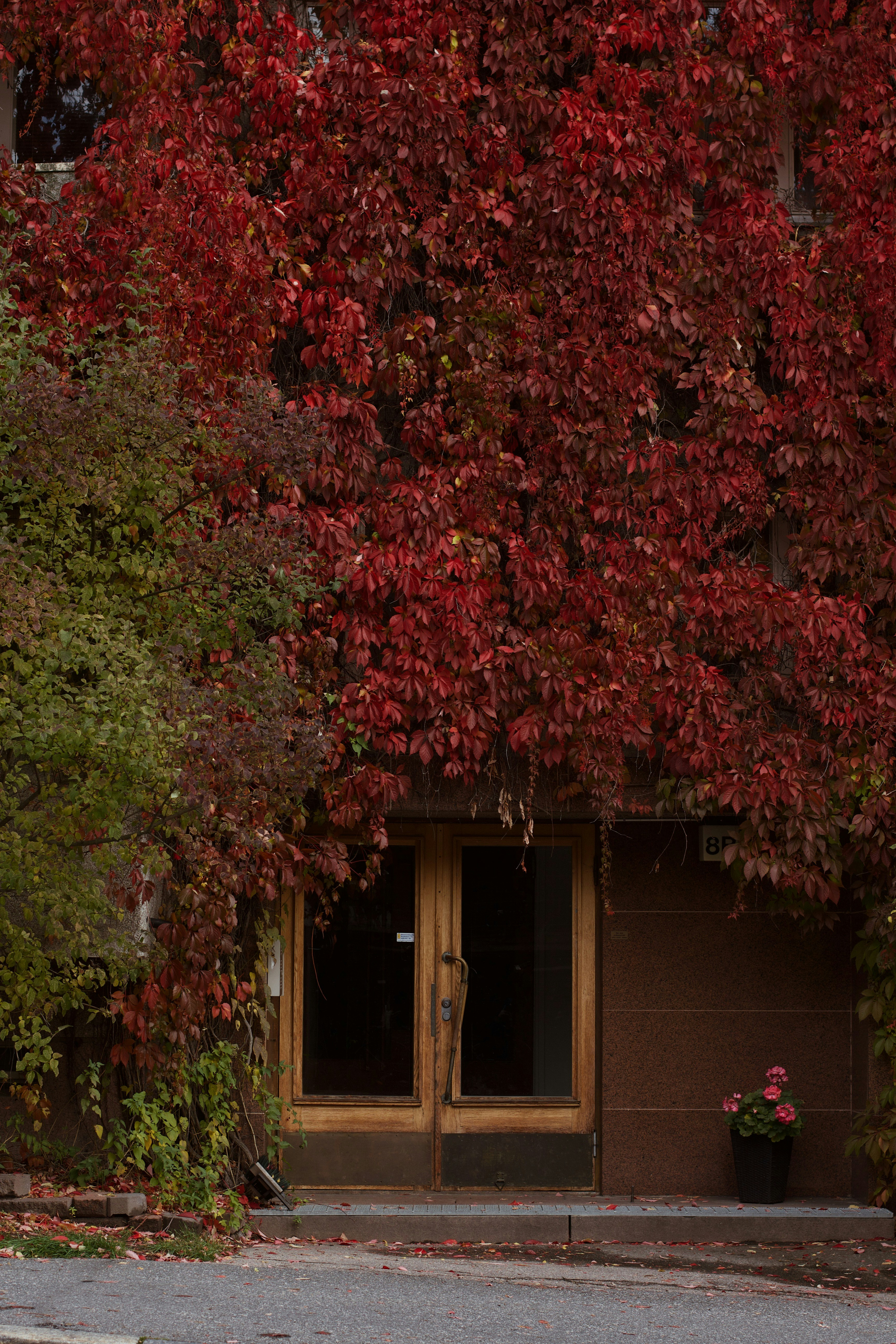 A red fire hydrant sitting in front of a building photo – Free Finland ...