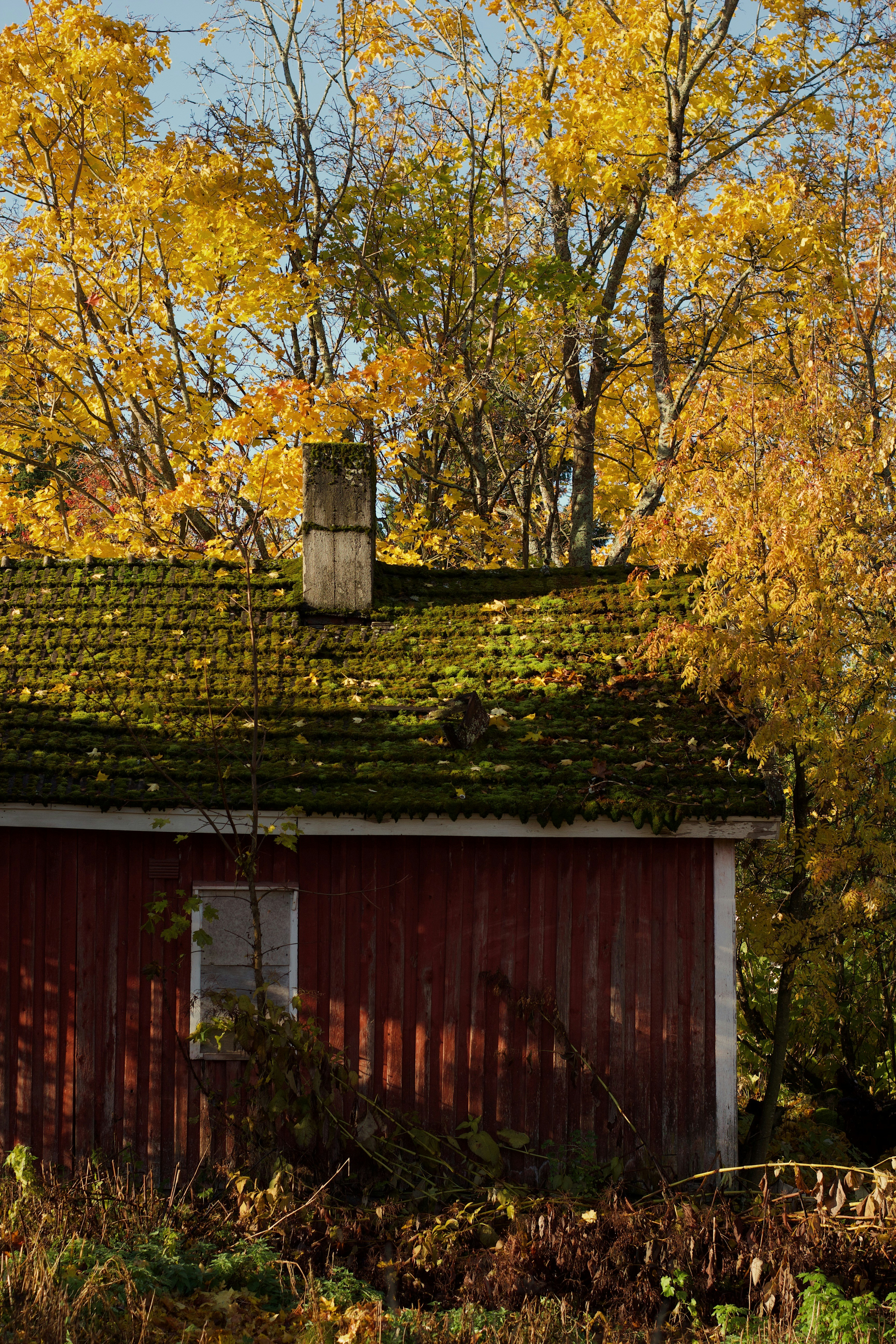 An old Finnish house in fall