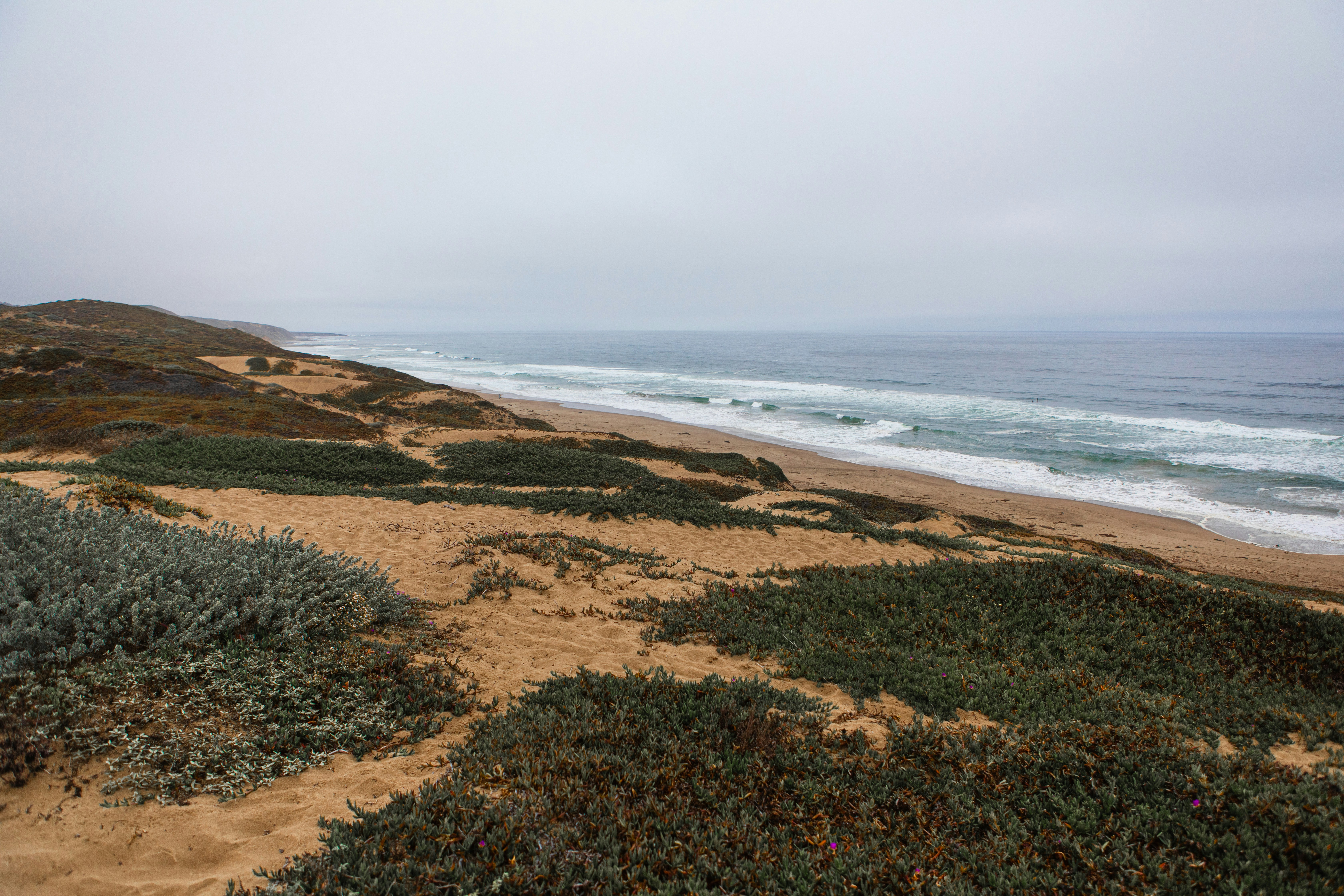 Edge of the Dunes: Quiet Atlantic Shore Under Overcast Skies