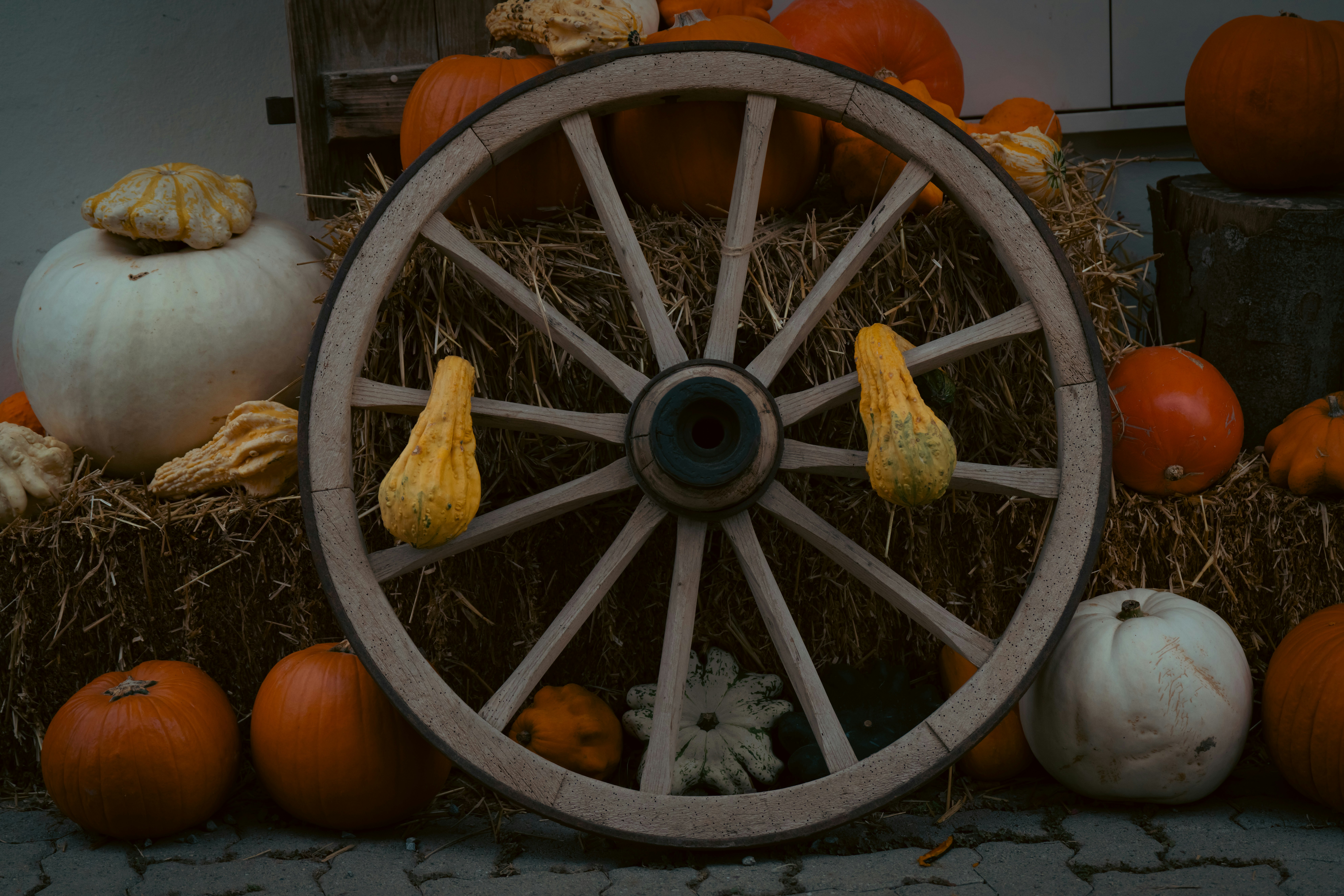 The Spoked Sentinel: A Harvest Wheel Framed by Pumpkins and Hay