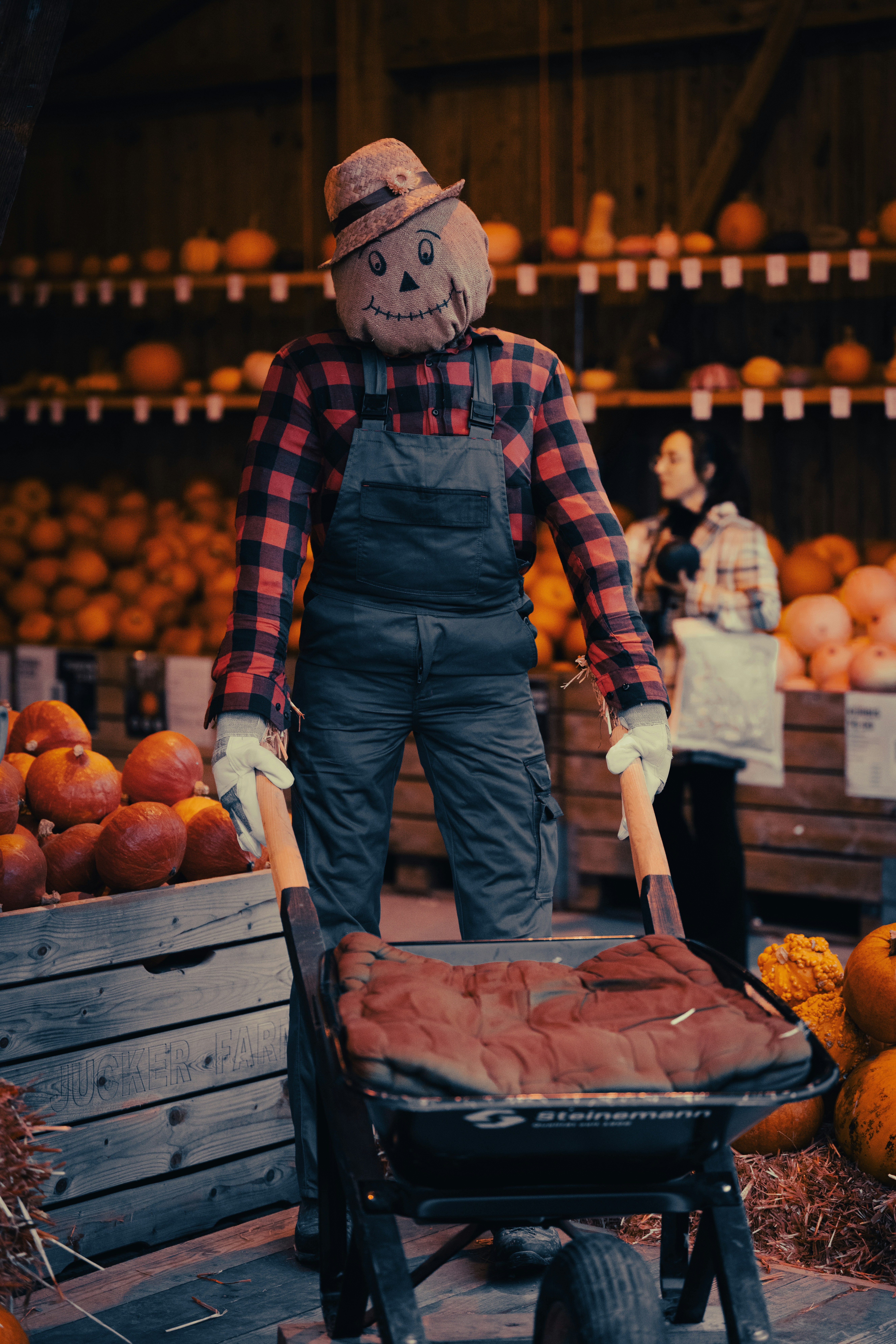 Harvest Sentinel: The Pumpkin Market's Masked Scarecrow at Dusk