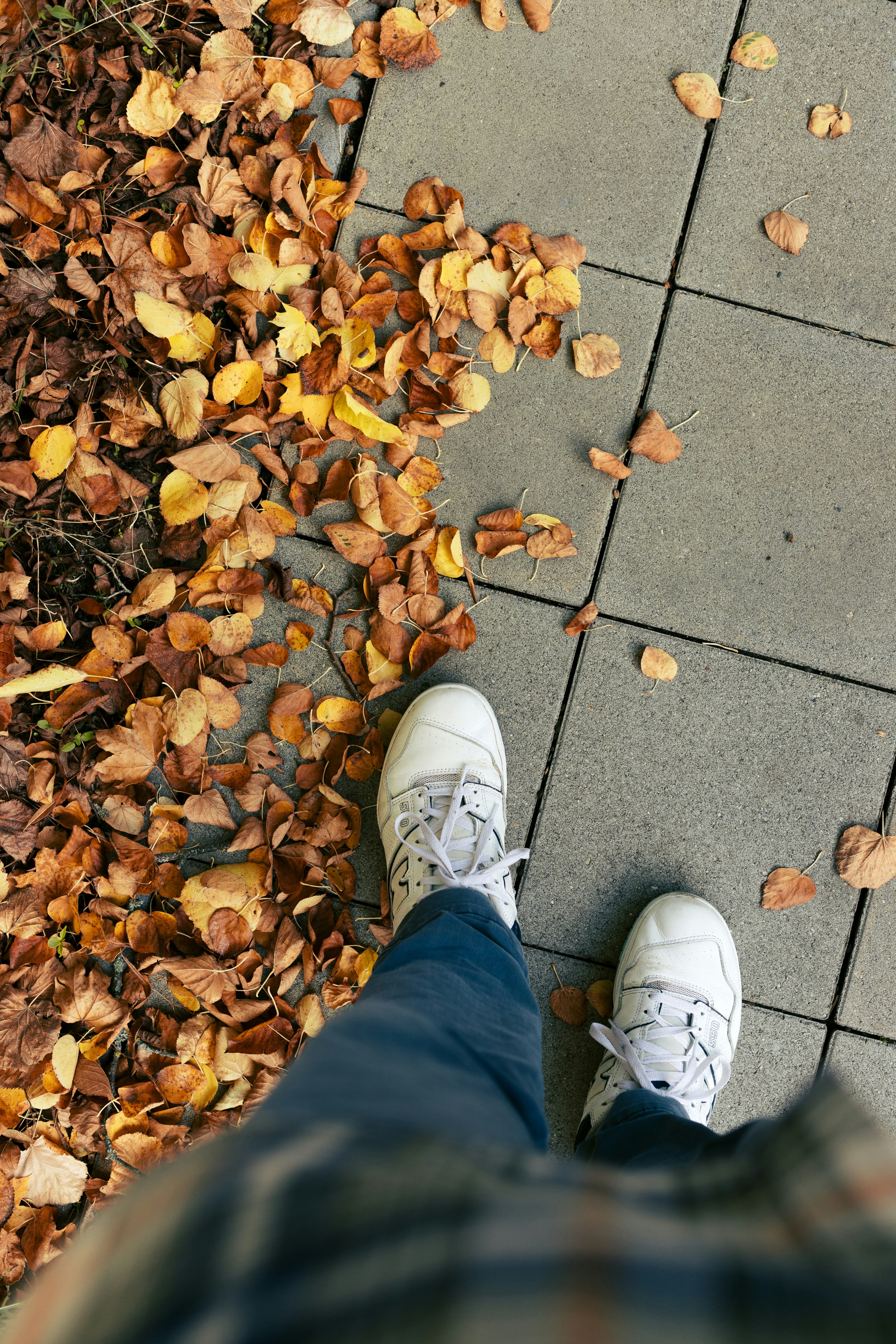 Autumn Steps: White Sneakers on a Leaf-Covered Sidewalk