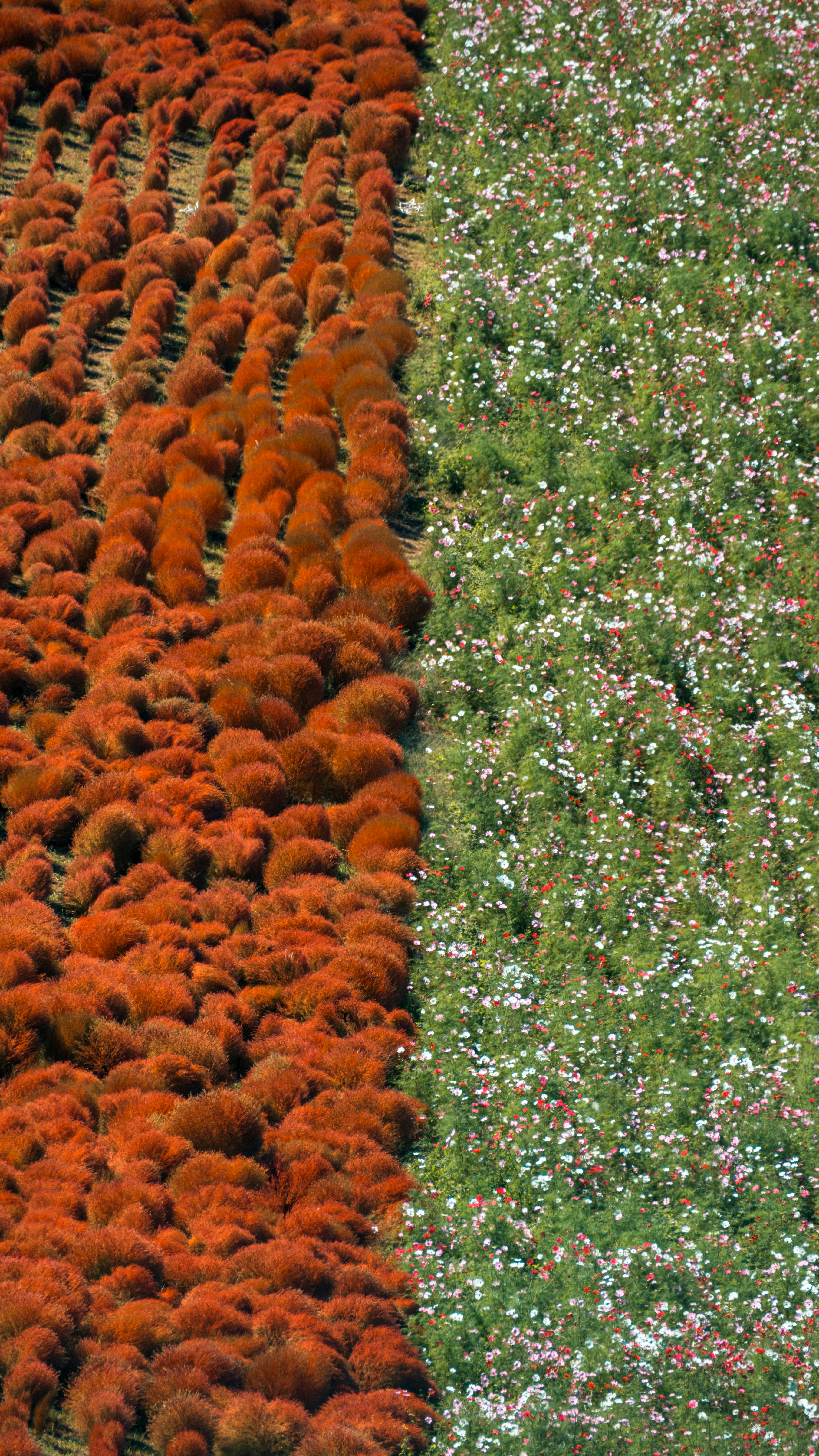 Photo by Sora Sagano with Fujifilm X-H2