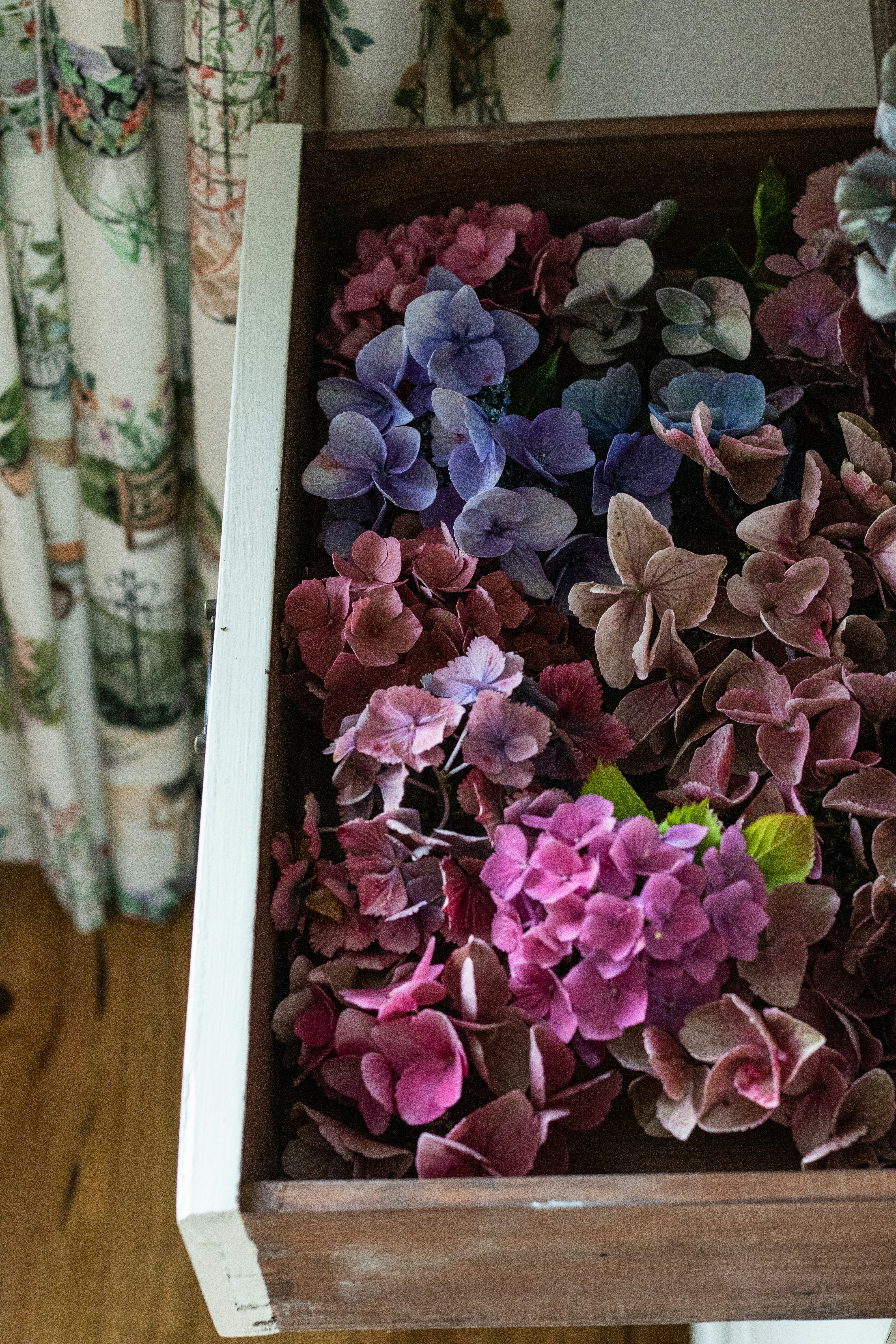 Hydrangea Drawer: a Quiet Palette of Petals